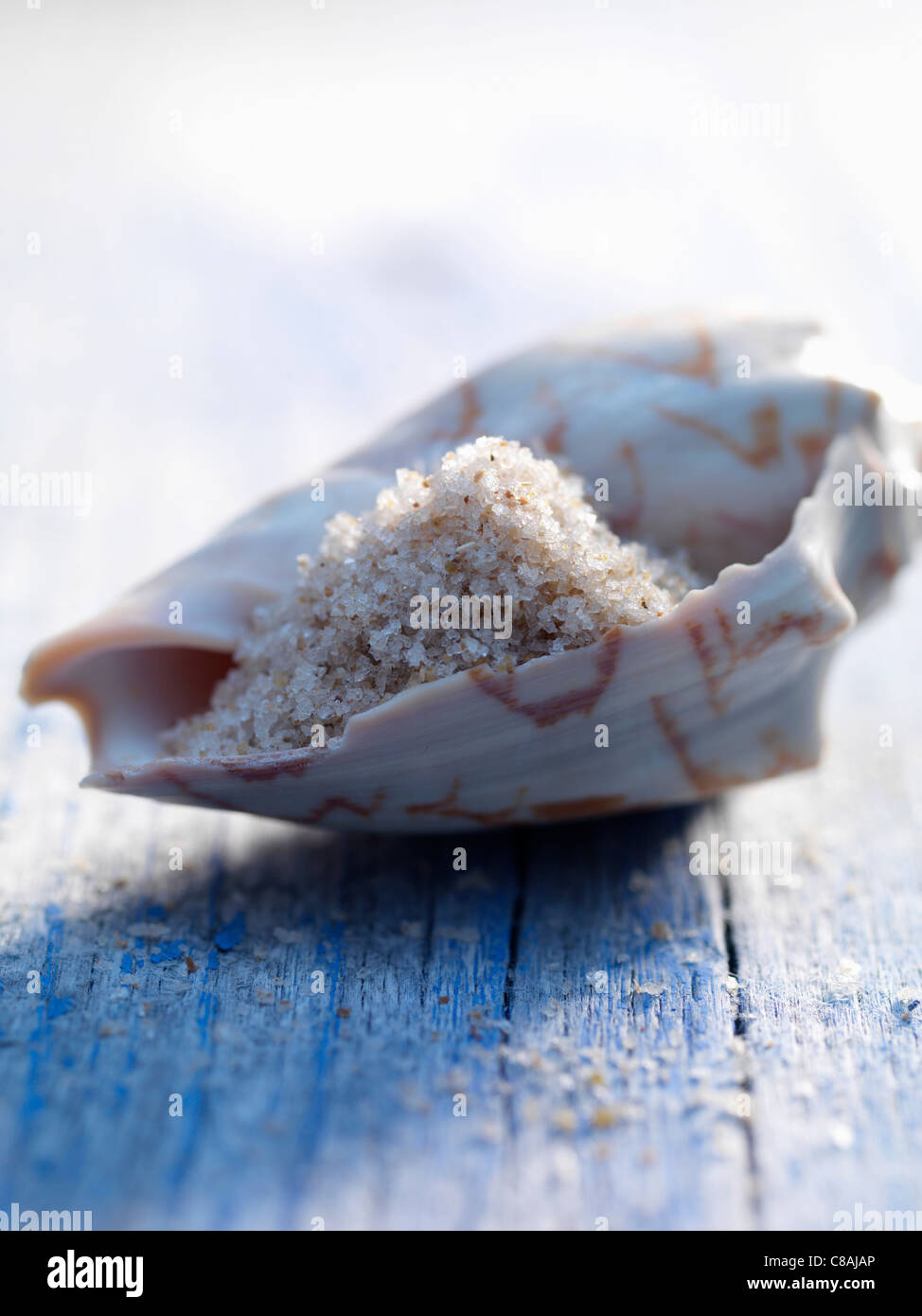 In a shell hi-res stock photography and images - Alamy