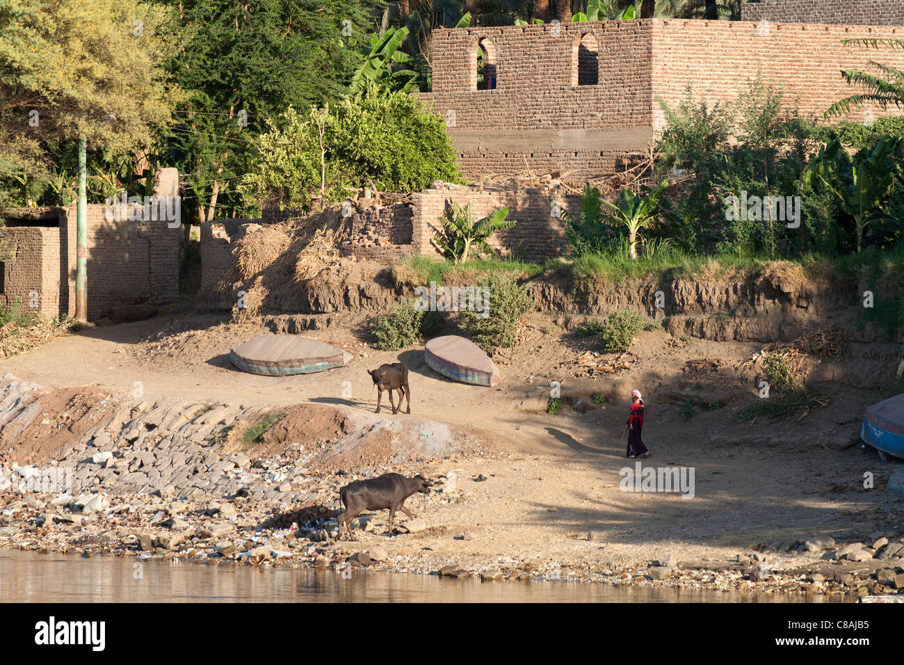 Section of nile river bank with steep mud bank hi-res stock photography ...