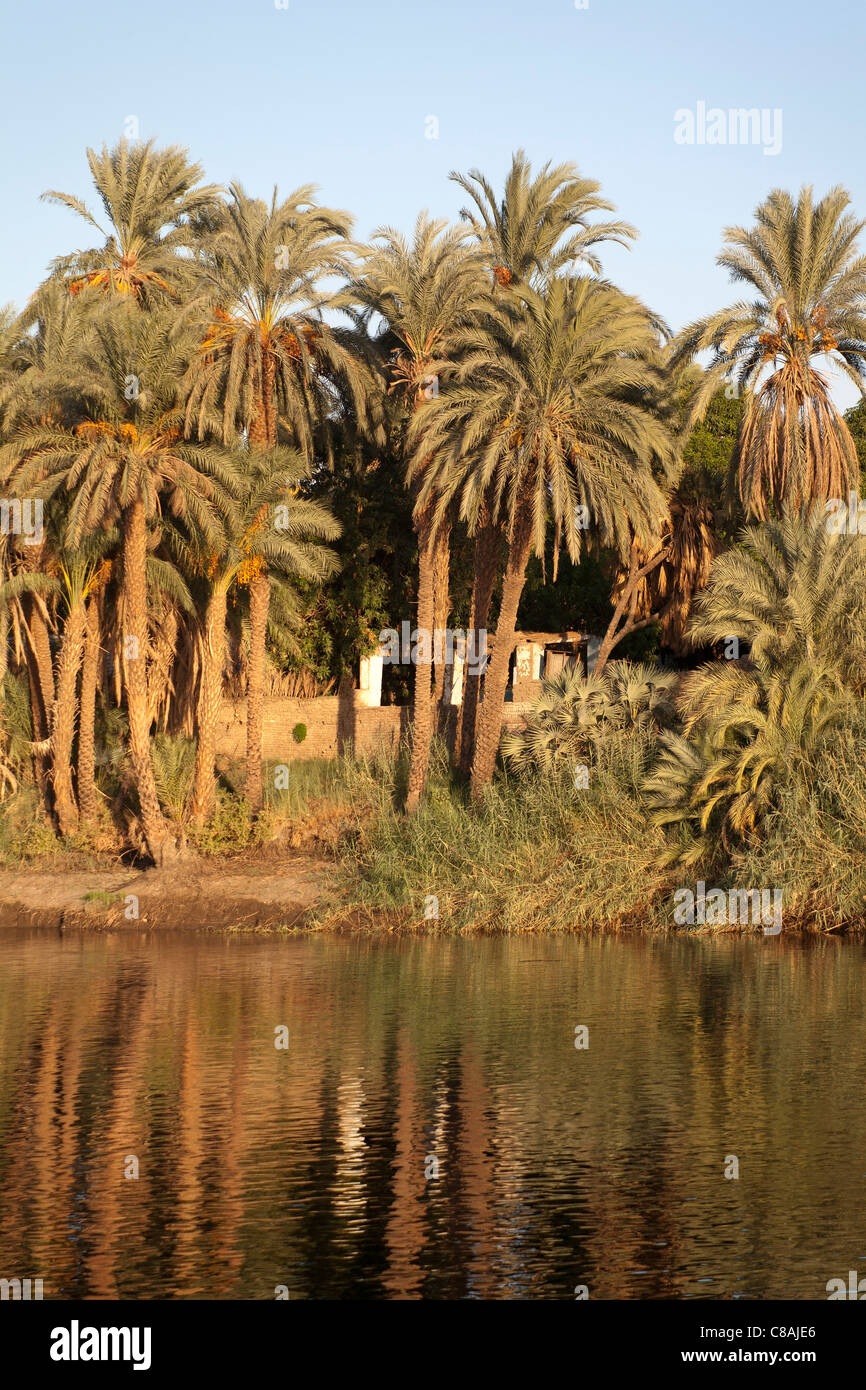 Overhanging river bank hi-res stock photography and images - Alamy