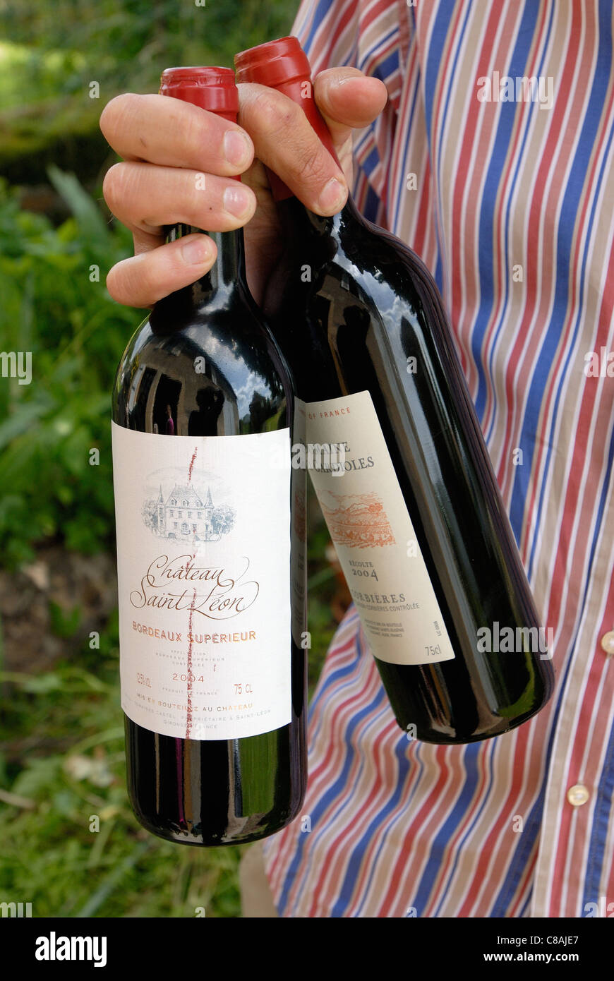 Bottles of red wine Stock Photo - Alamy