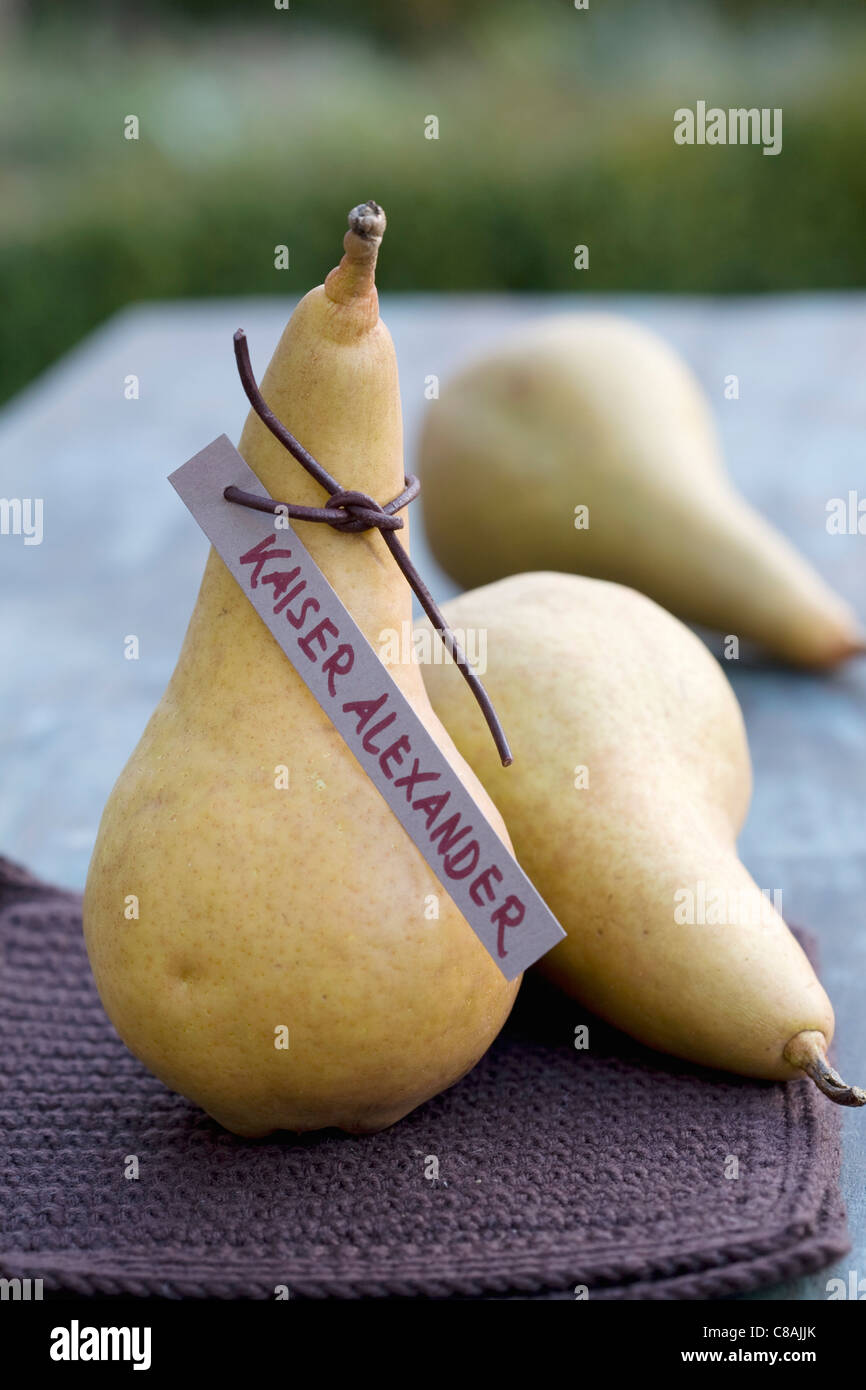 Kaiser alexander hi-res stock photography and images - Alamy