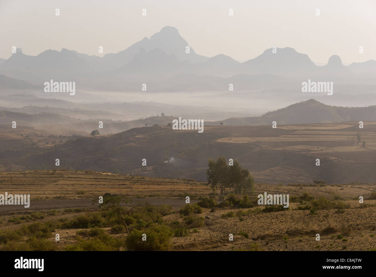 Adwa hi-res stock photography and images - Alamy
