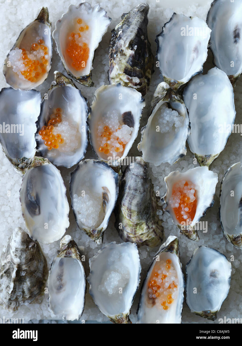 Shell Of Shells High Resolution Stock Photography and Images - Alamy