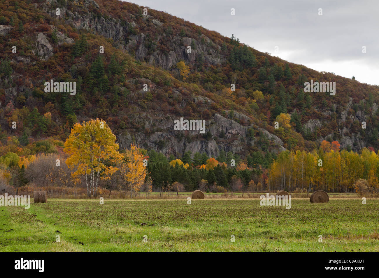 Ottawa valley hi-res stock photography and images - Alamy