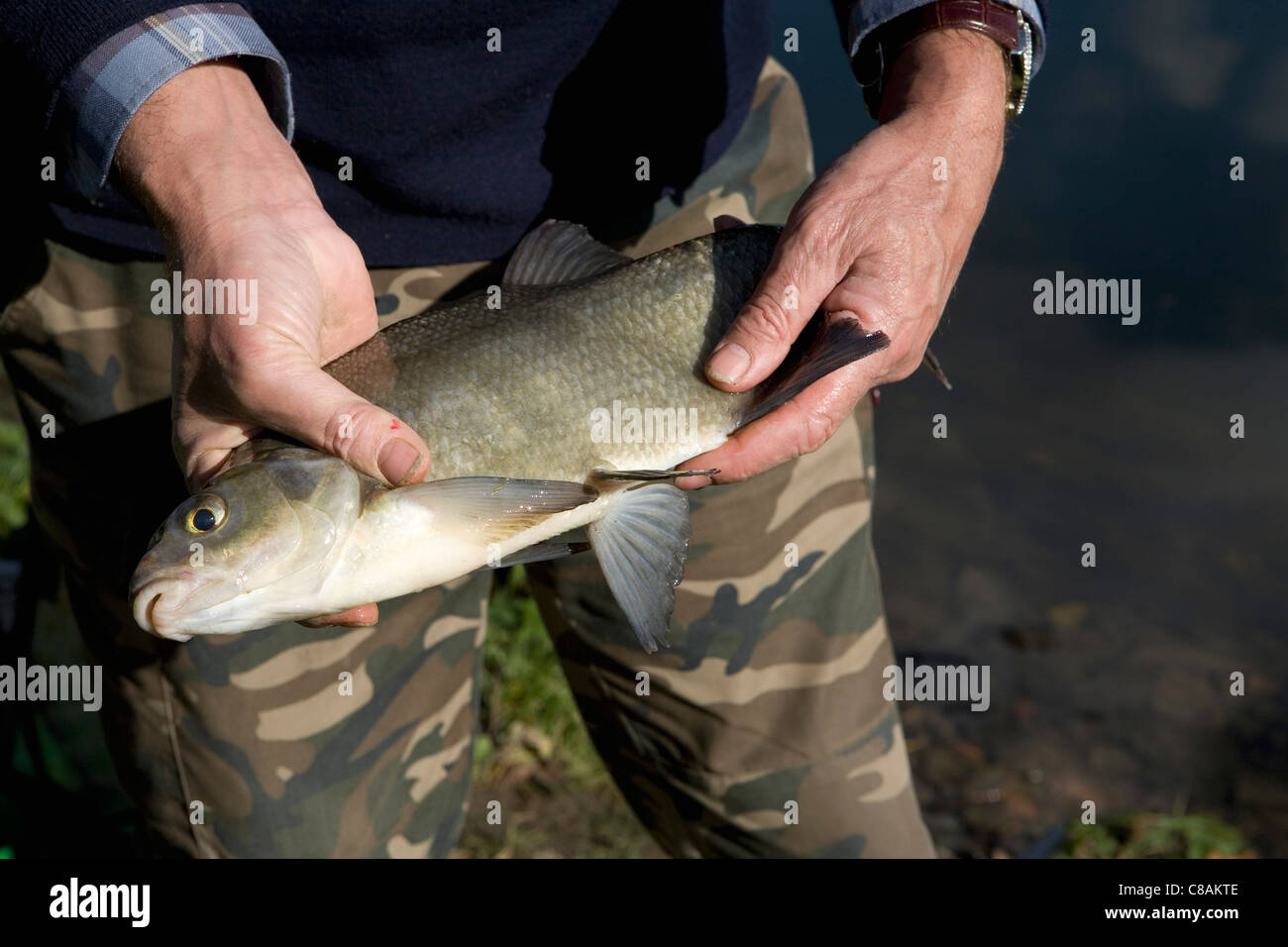 Fisherman holding a carp Stock Photo - Alamy