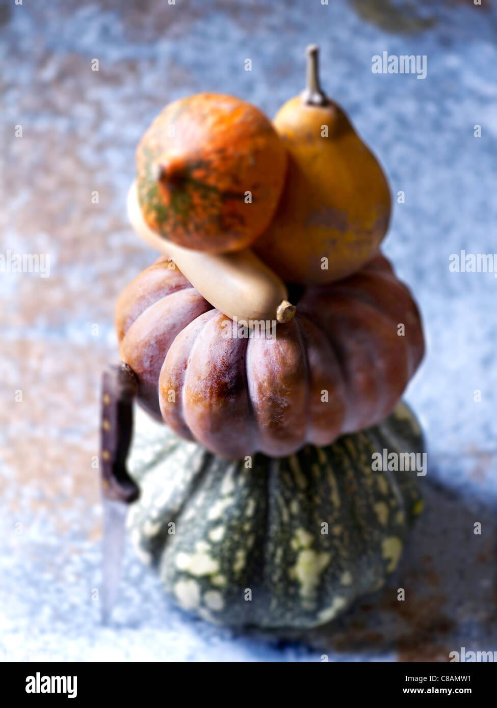 Selection of pumpkins and squashes Stock Photo - Alamy