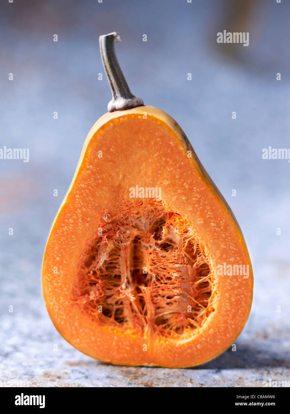 Sucrine du Berry squash Stock Photo - Alamy