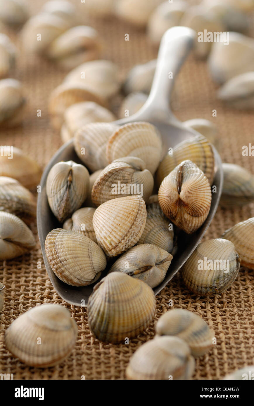 Cooking cockles hi-res stock photography and images - Alamy