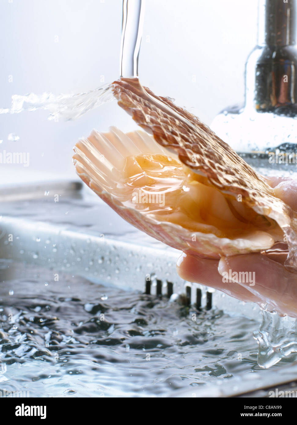 Pink shell sink hi-res stock photography and images - Alamy