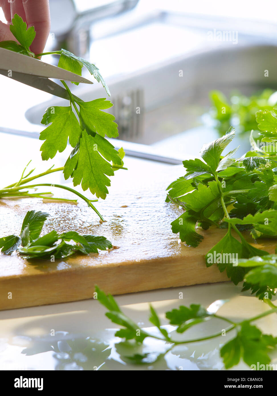 Cutting flat parsley with scissors Stock Photo - Alamy