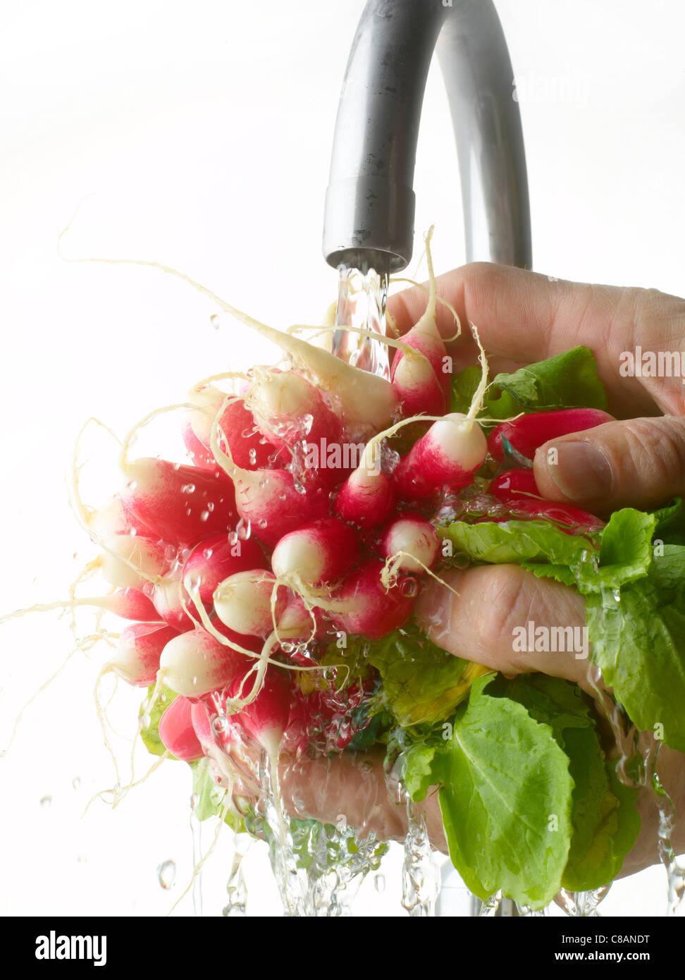 Rinsing radishes under the tap water Stock Photo - Alamy