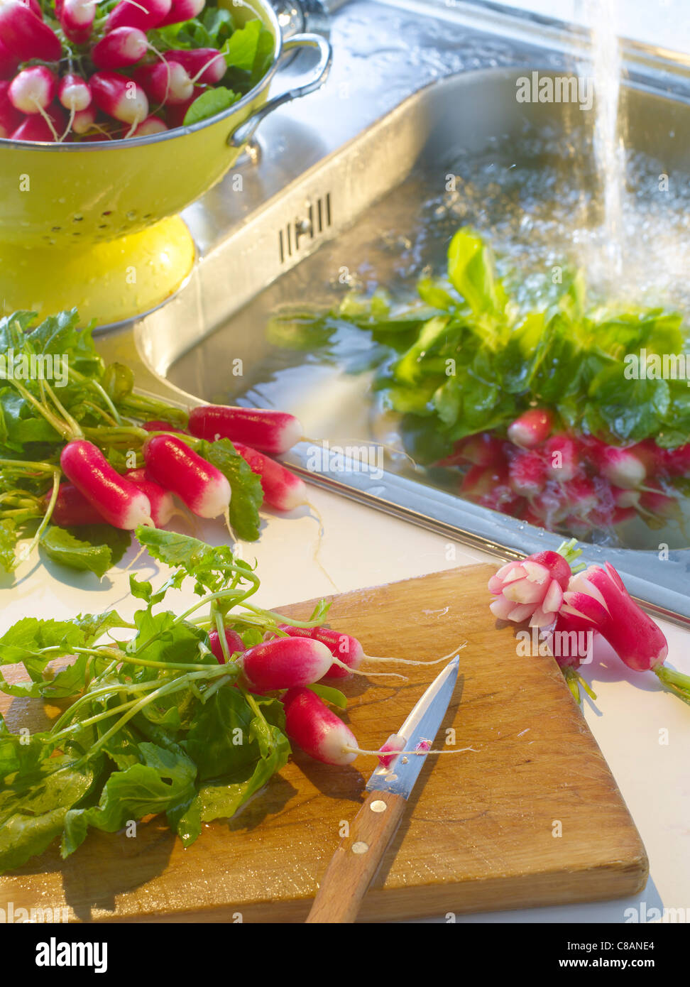 Radishes in the kitchen Stock Photo - Alamy