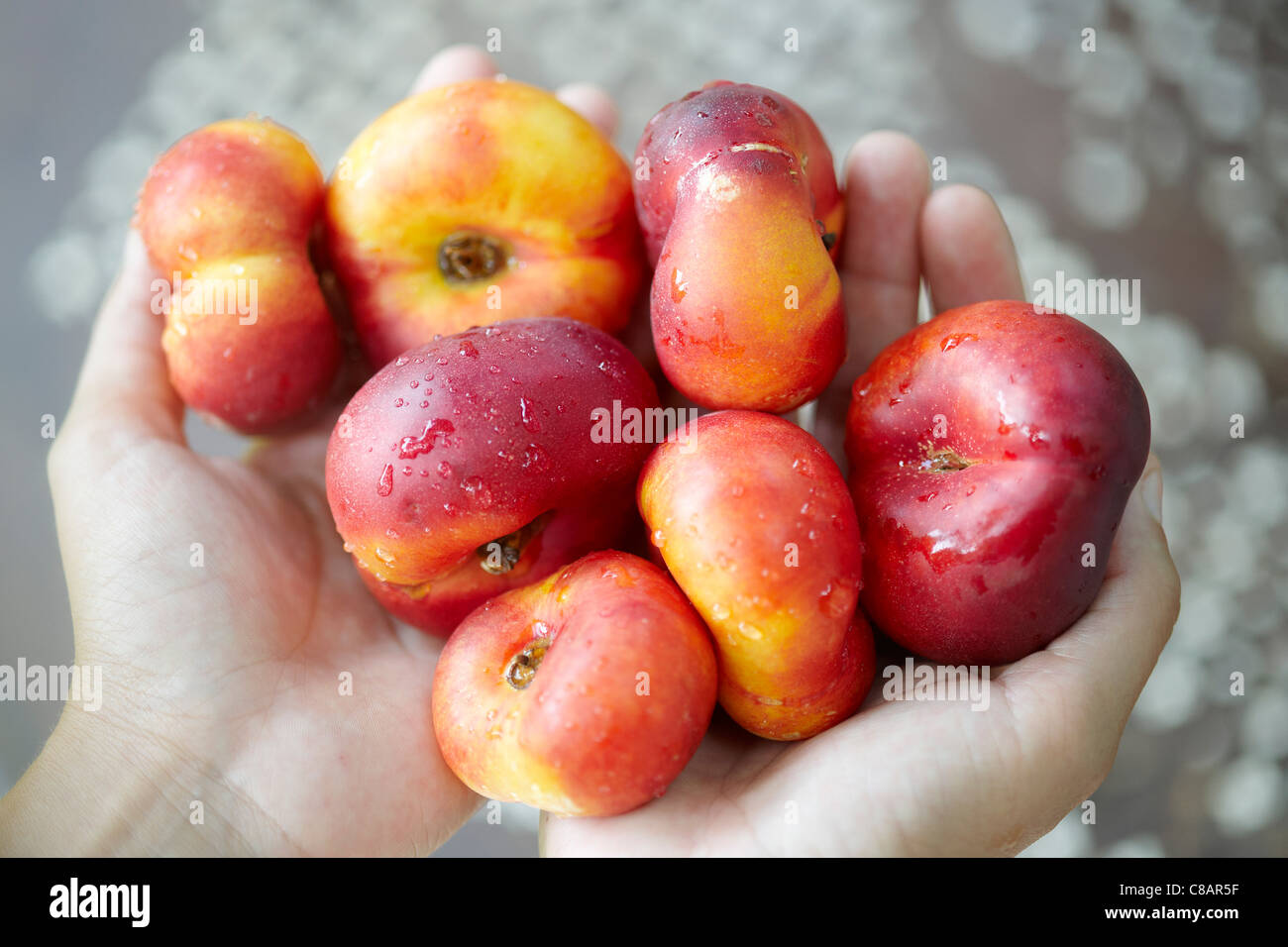 Brugnons hi-res stock photography and images - Alamy