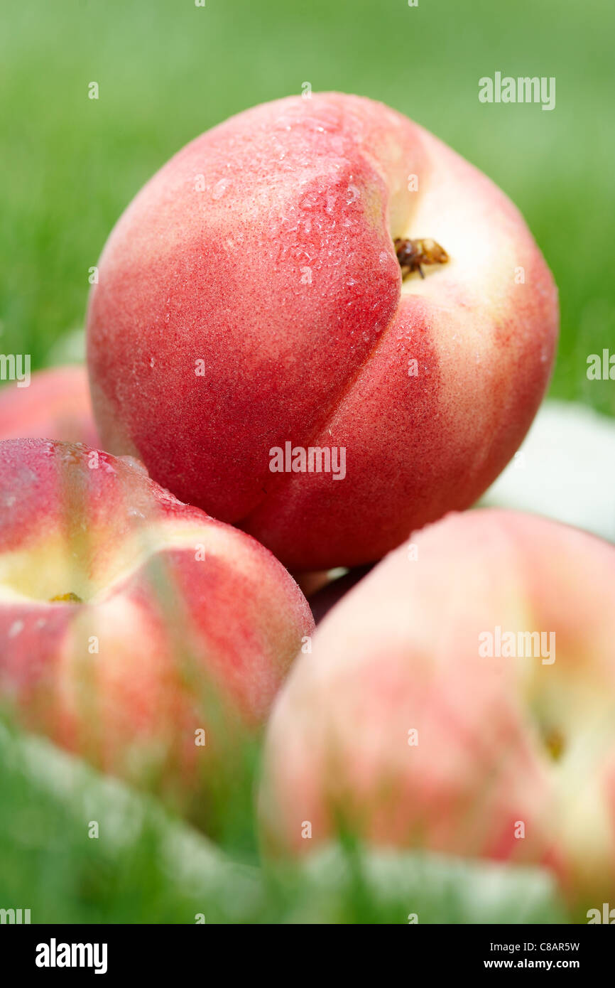 Peaches and herb hi-res stock photography and images - Alamy