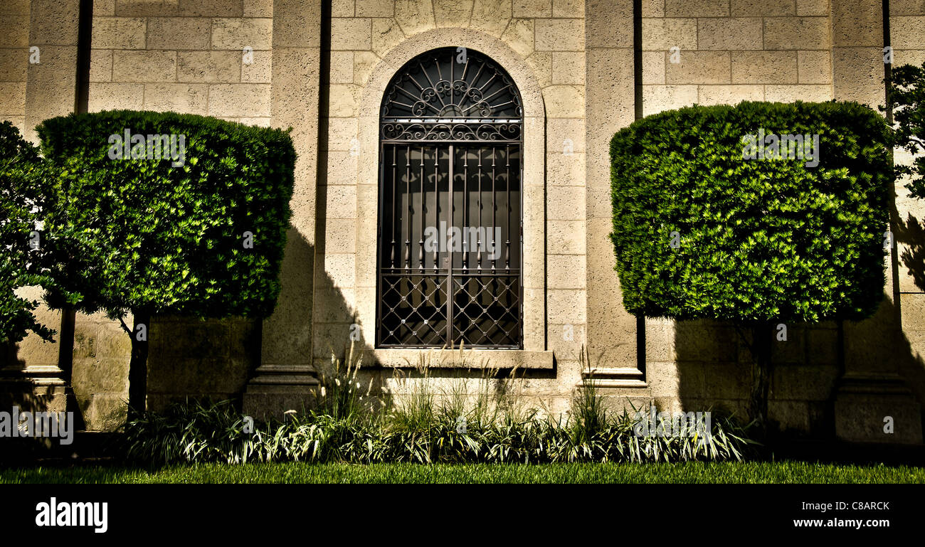 Crisply trimmed hedges (bushes) along side an arched window Stock Photo ...