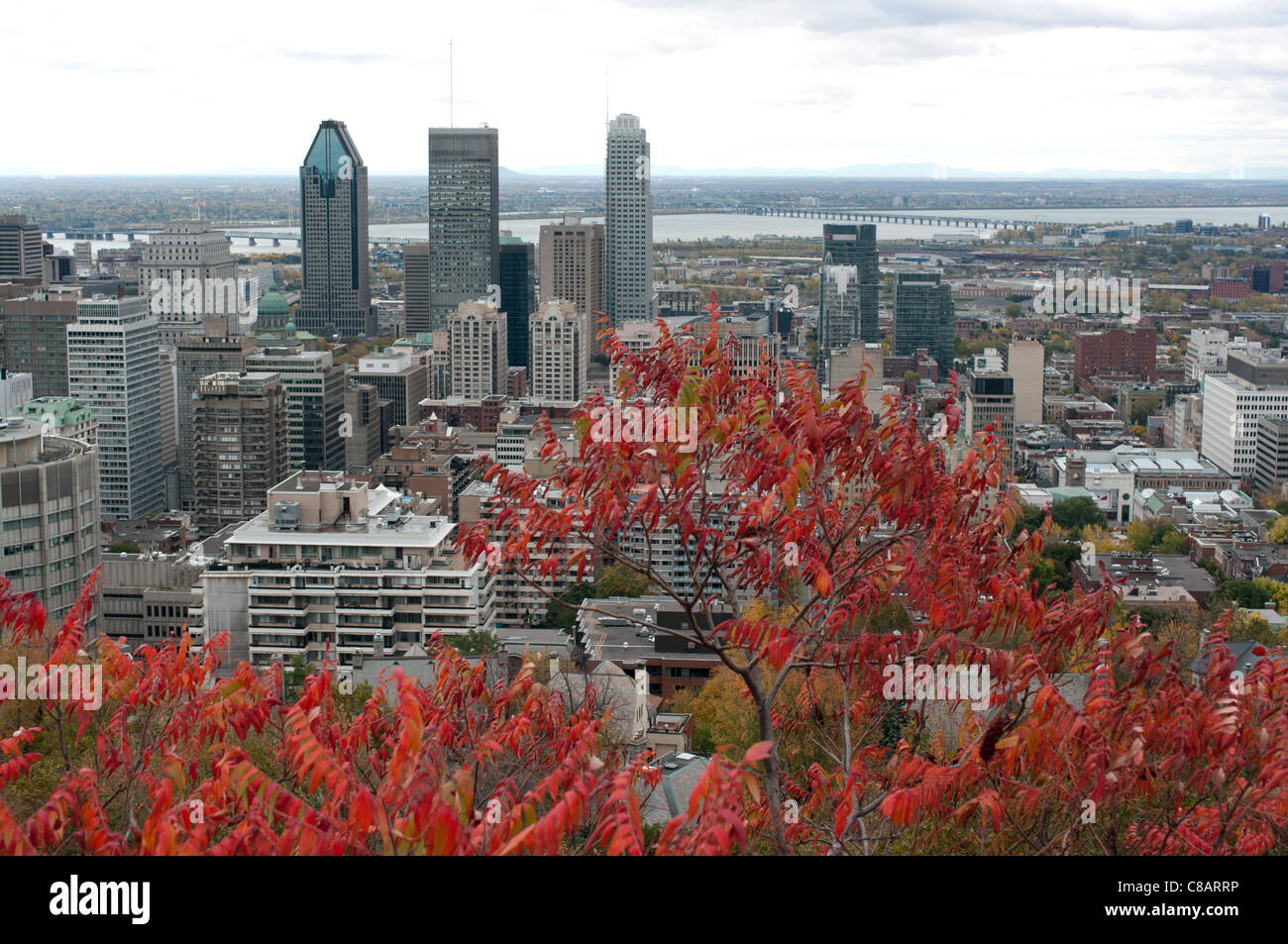 Montreal skyline from mount royal hi-res stock photography and images ...