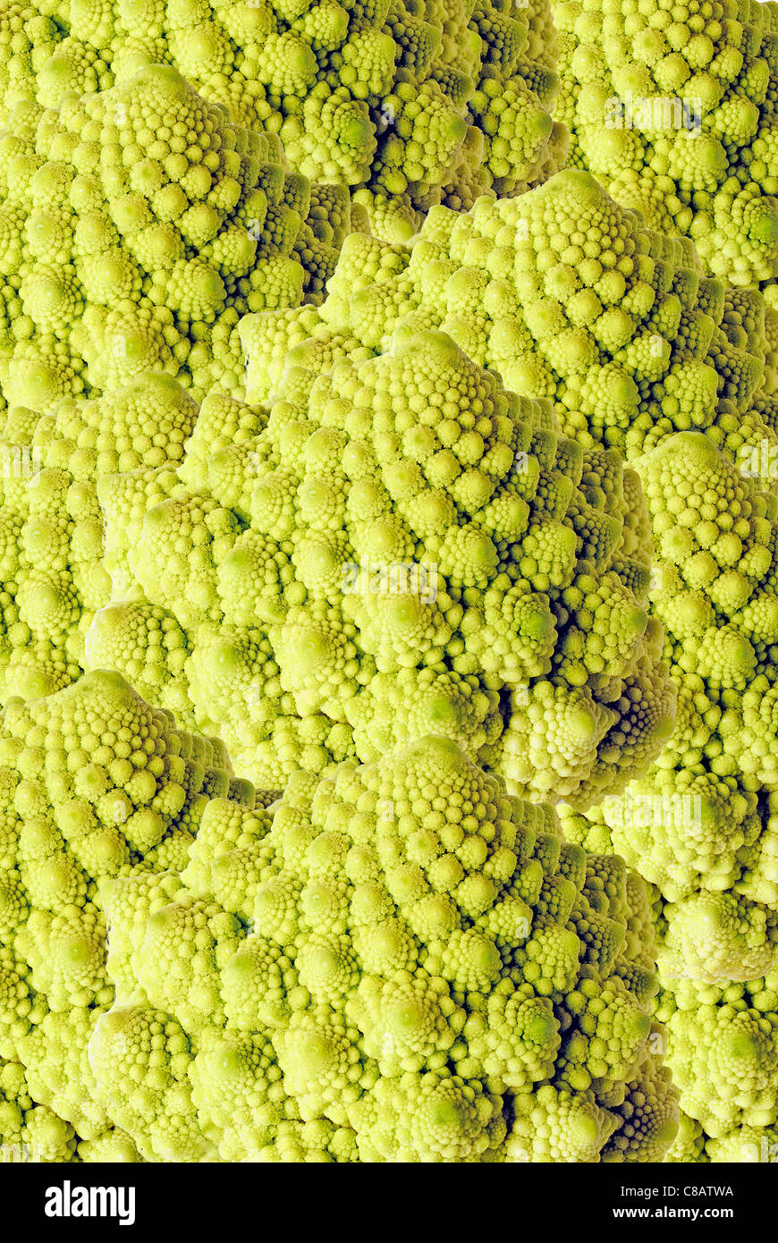 Close-up of a romanesco cabbage Stock Photo - Alamy