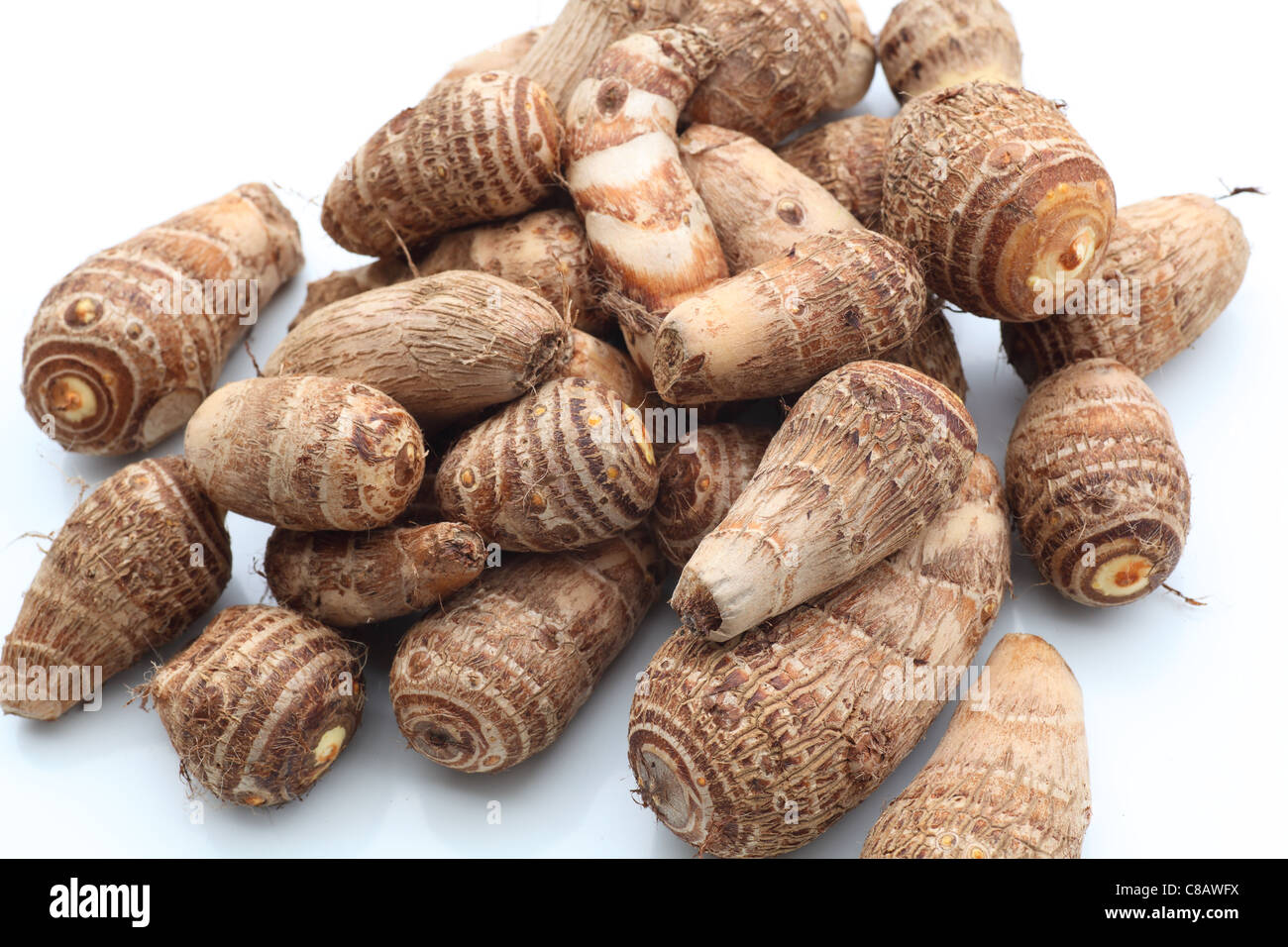 Taros hi-res stock photography and images - Alamy