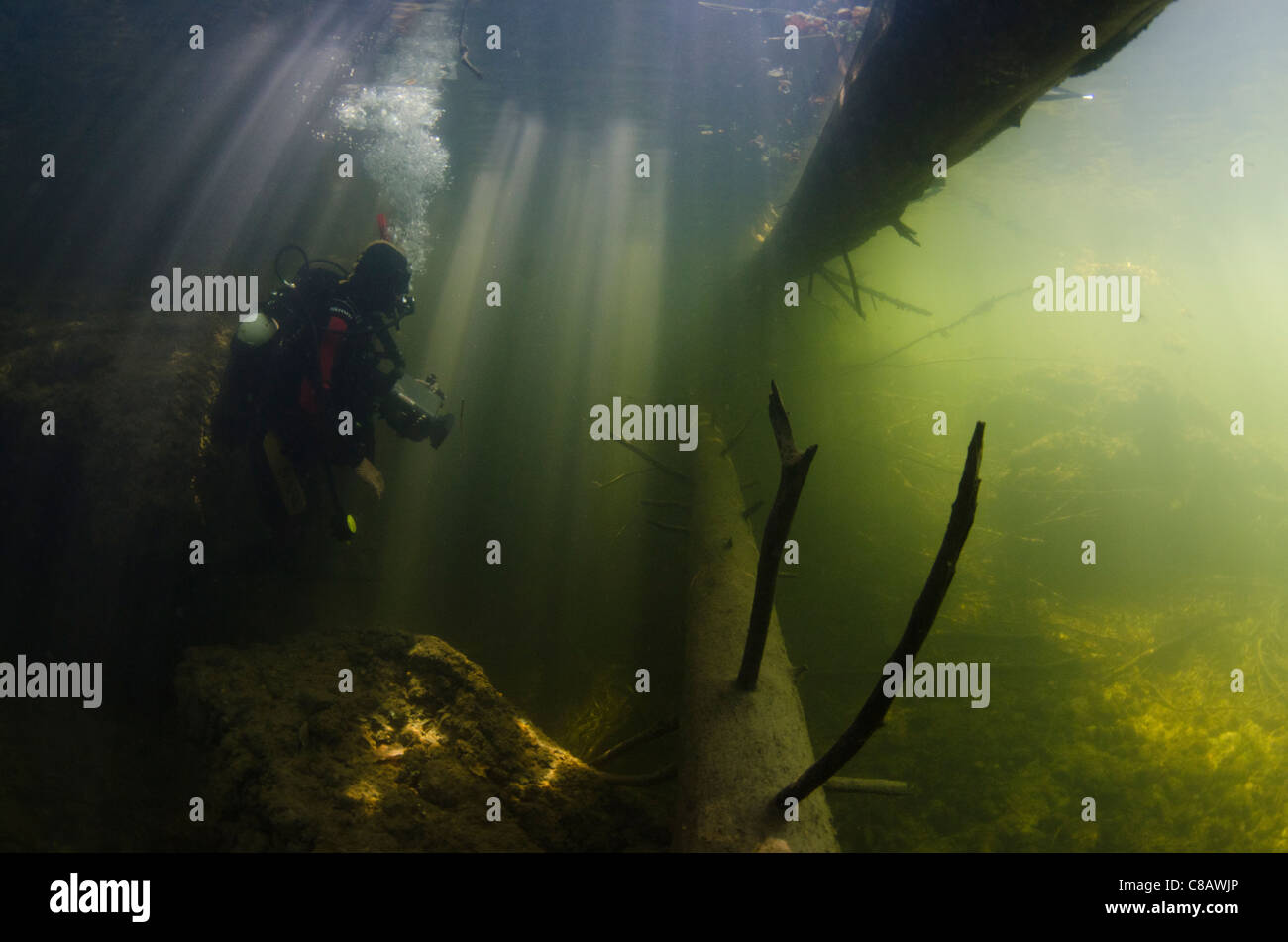 Scuba diving in Traun river, Salzburg, Austria Stock Photo - Alamy