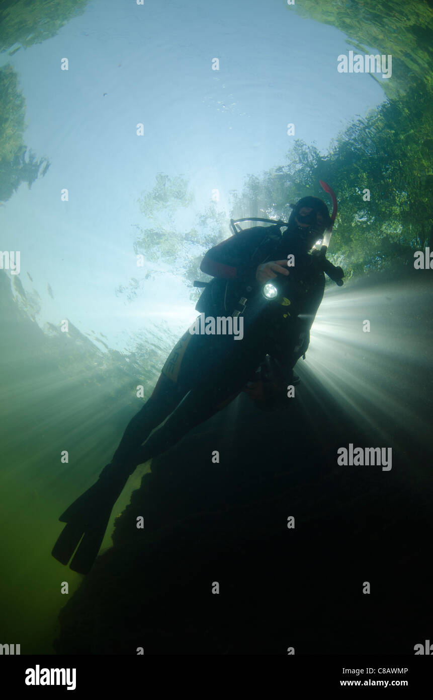 Scuba diving in Traun river, Salzburg, Austria Stock Photo - Alamy