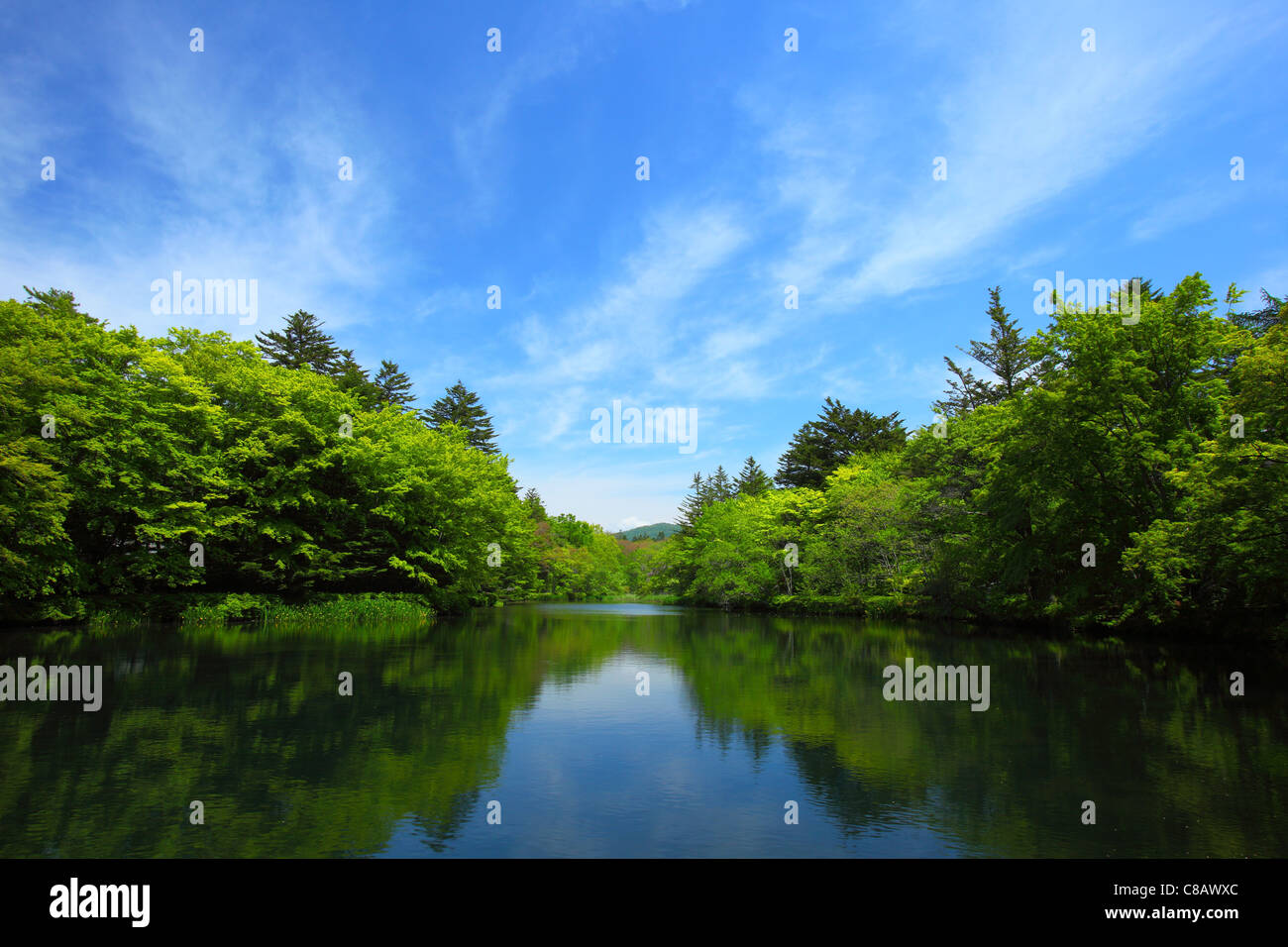 Blue sky and pond Stock Photo - Alamy