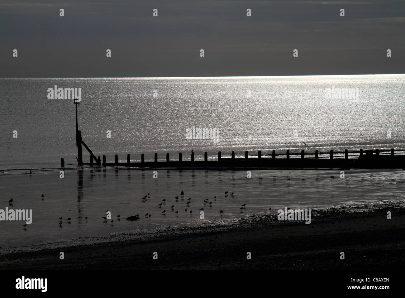 Beach groin hi-res stock photography and images - Alamy