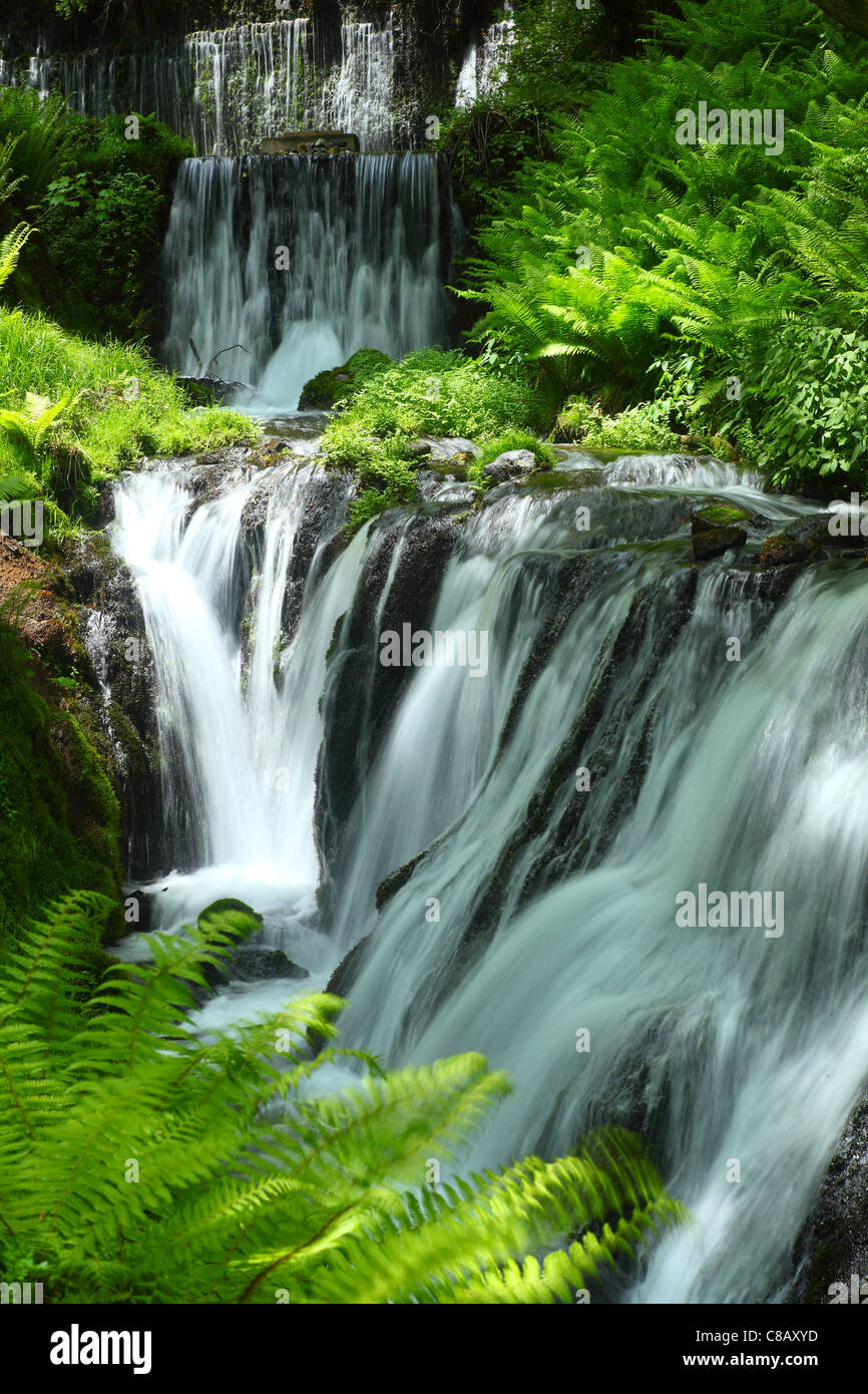 Fresh green and waterfall Stock Photo - Alamy