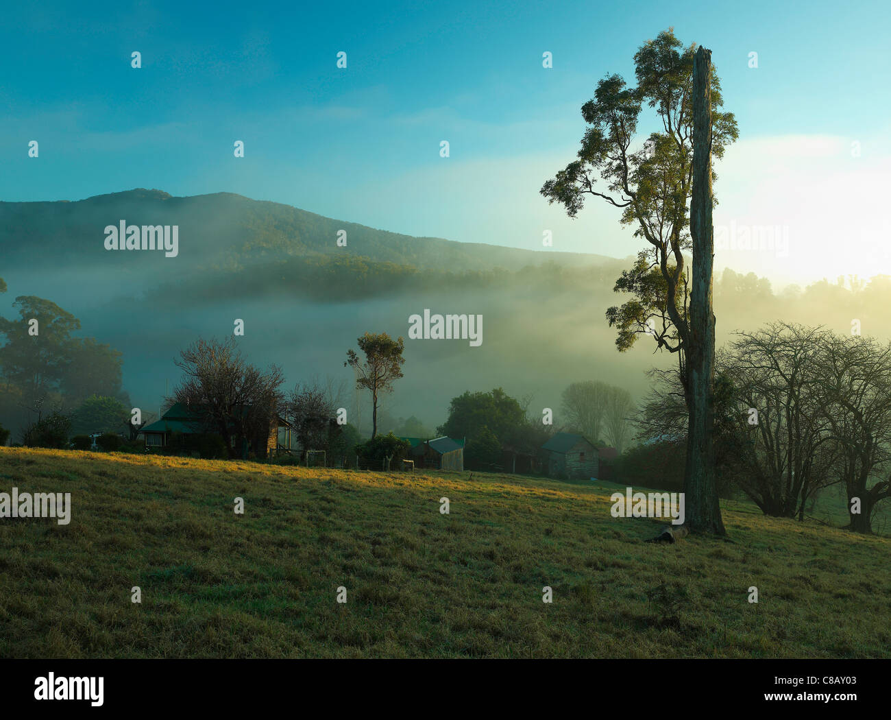The rising sun highlights the wafting mists over a farm below the ...