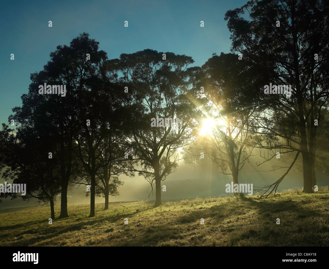 Sun rays through mist hi-res stock photography and images - Alamy