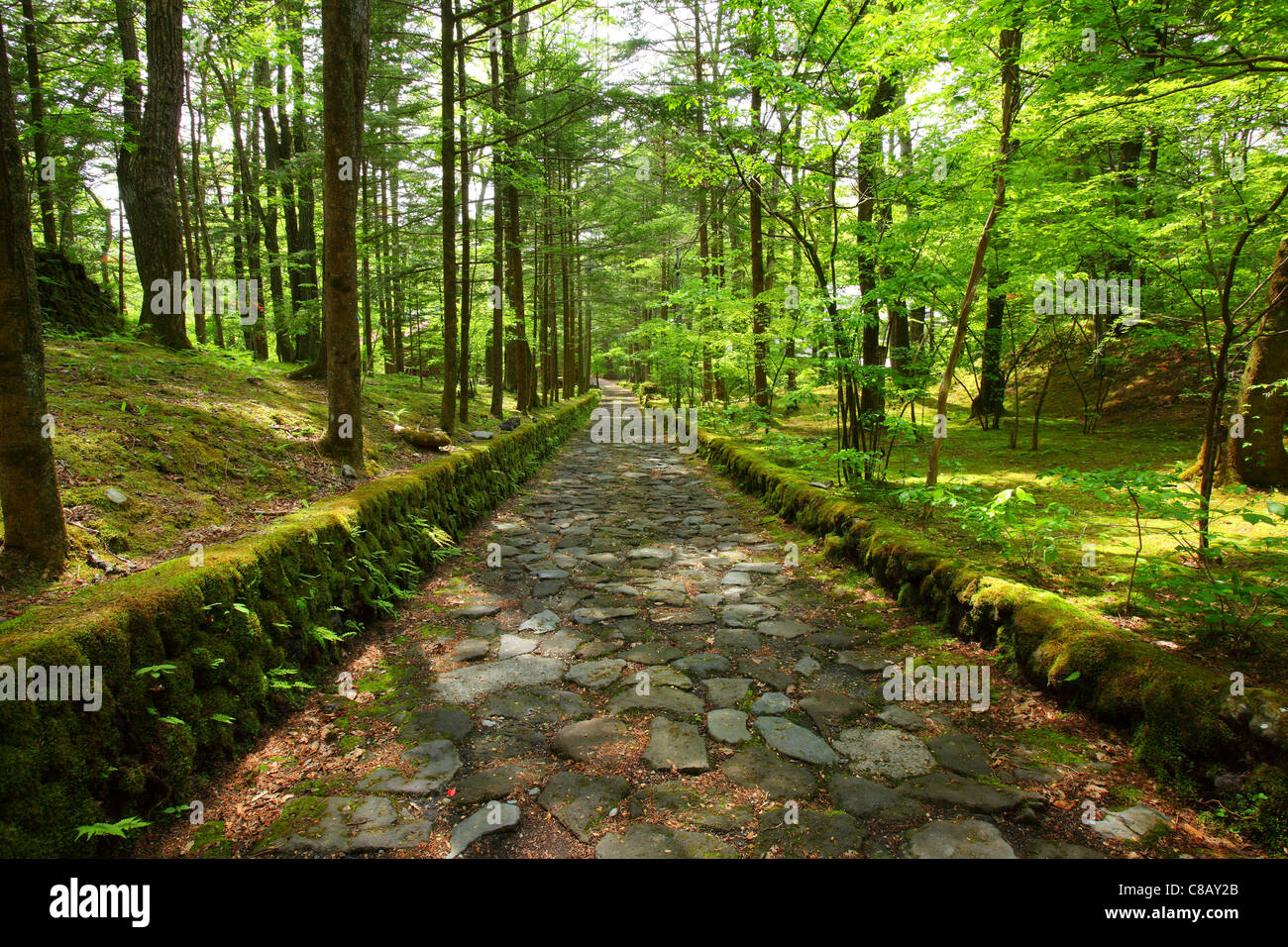 Stone paved road Stock Photo - Alamy