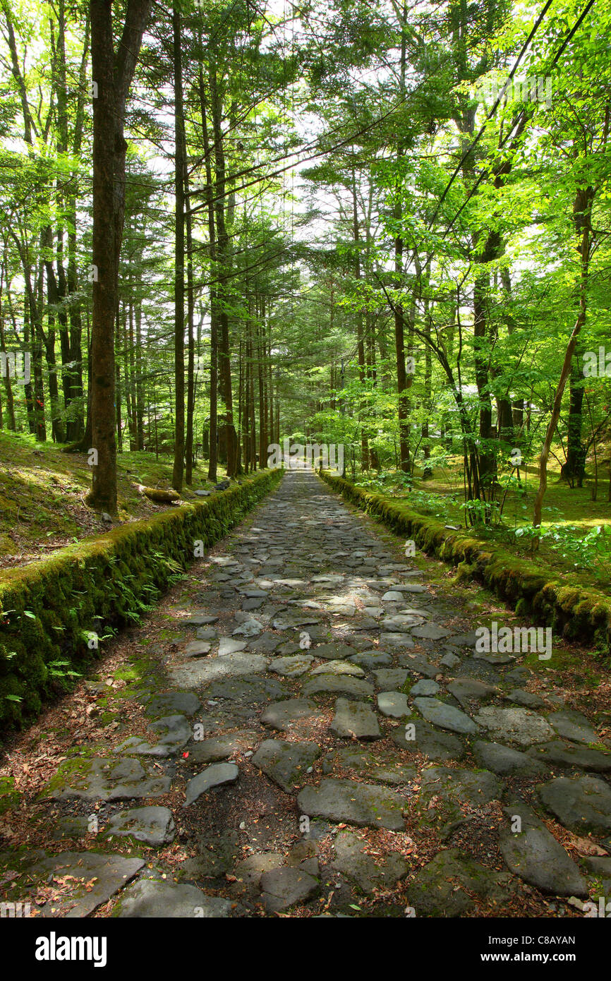 Stone paved road Stock Photo - Alamy
