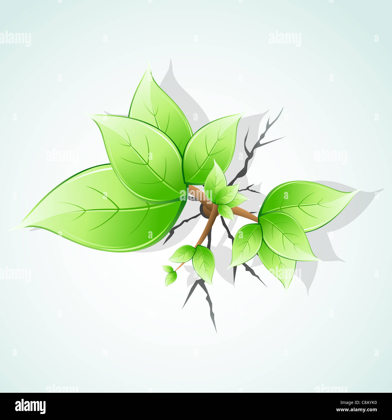 illustration of growing plant Stock Photo - Alamy