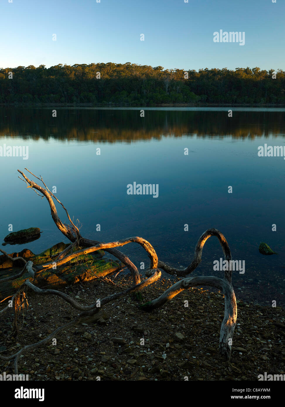 Wallaga Lake National Park High Resolution Stock Photography and Images ...
