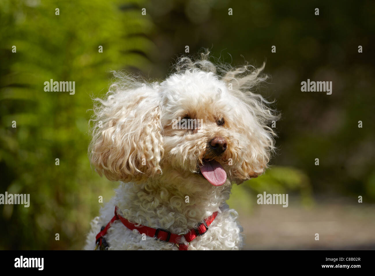 Play garden uk hi-res stock photography and images - Alamy