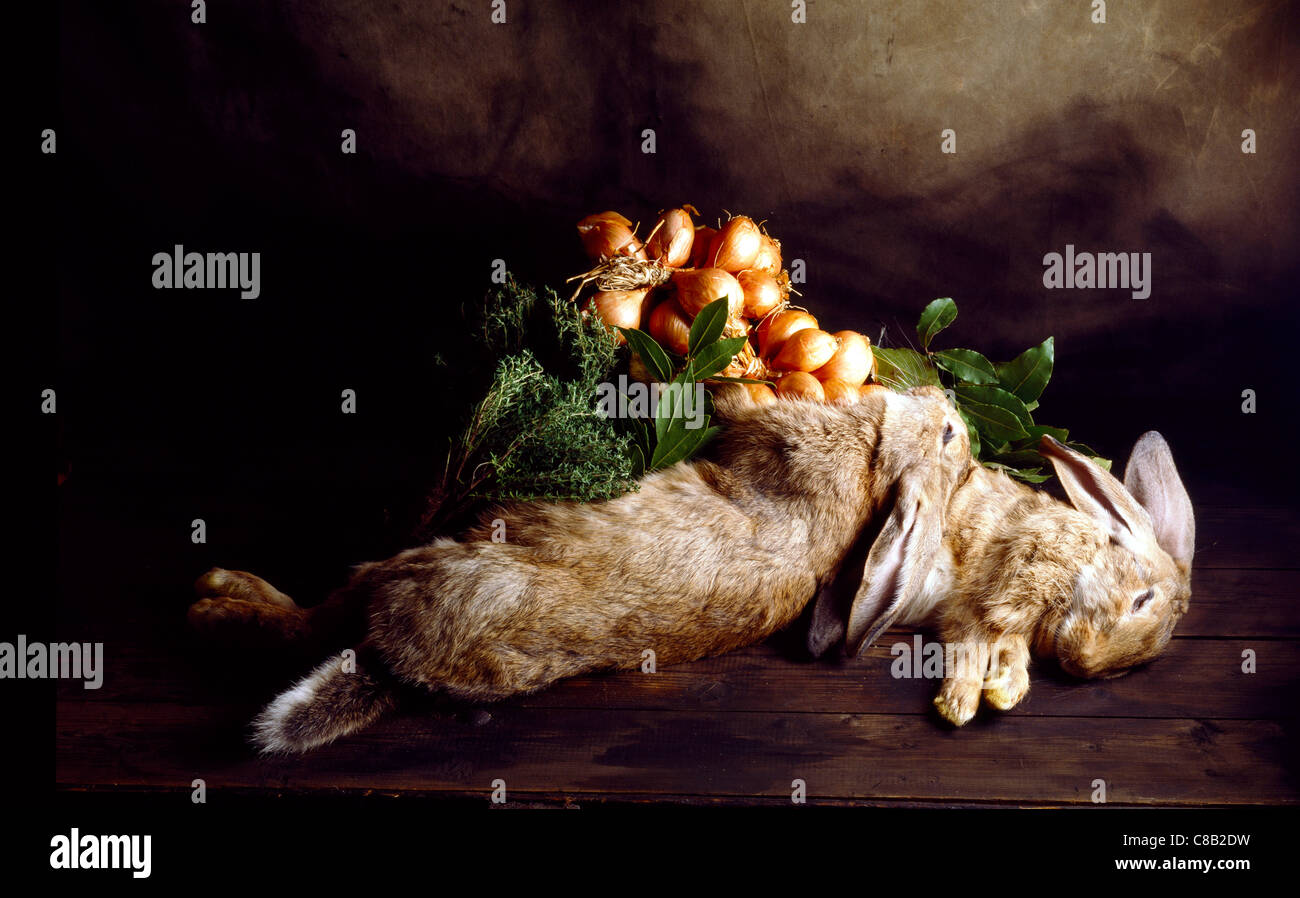 rabbit still life Stock Photo - Alamy