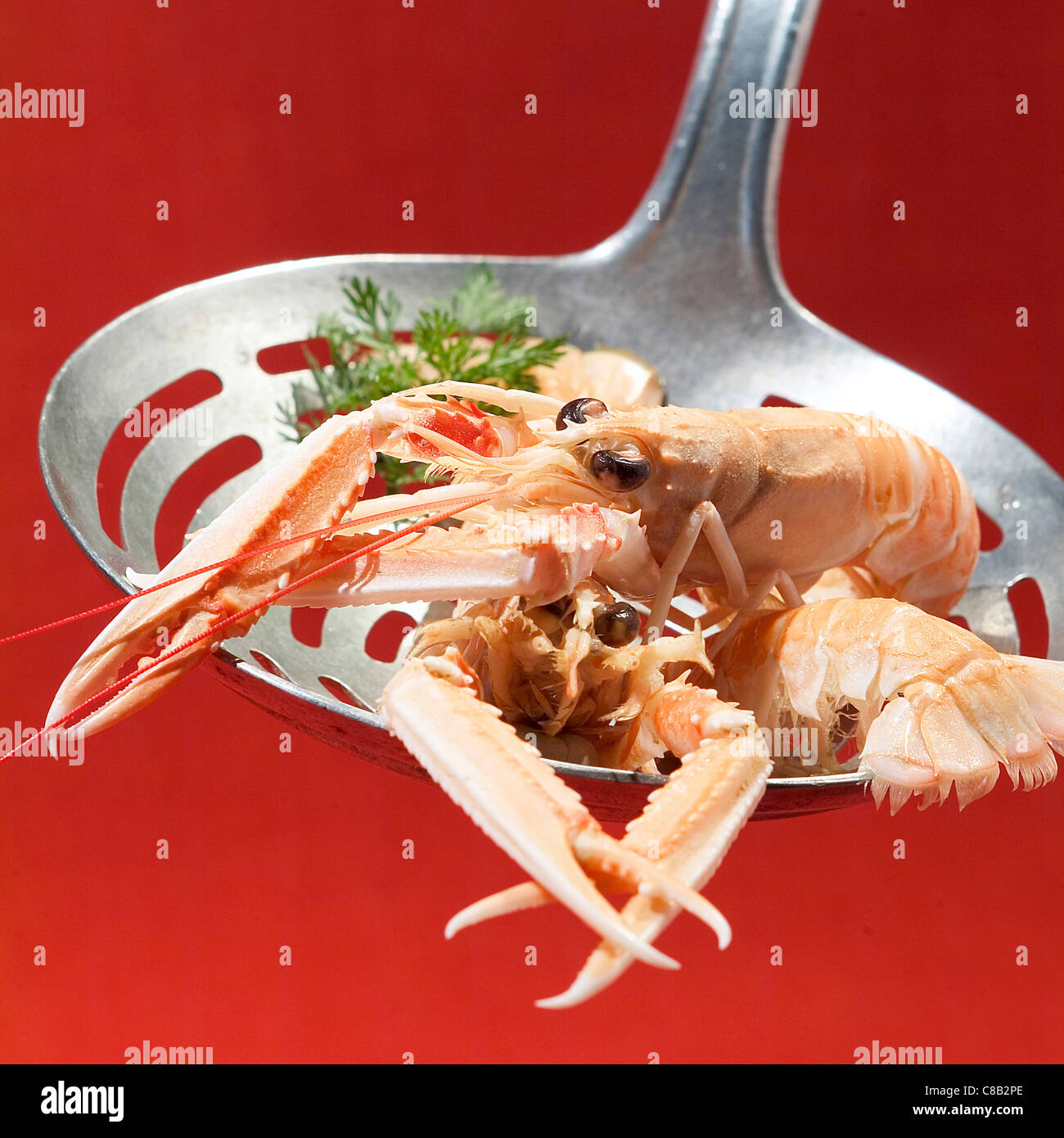 Dublin Bay prawns on skimmer Stock Photo - Alamy