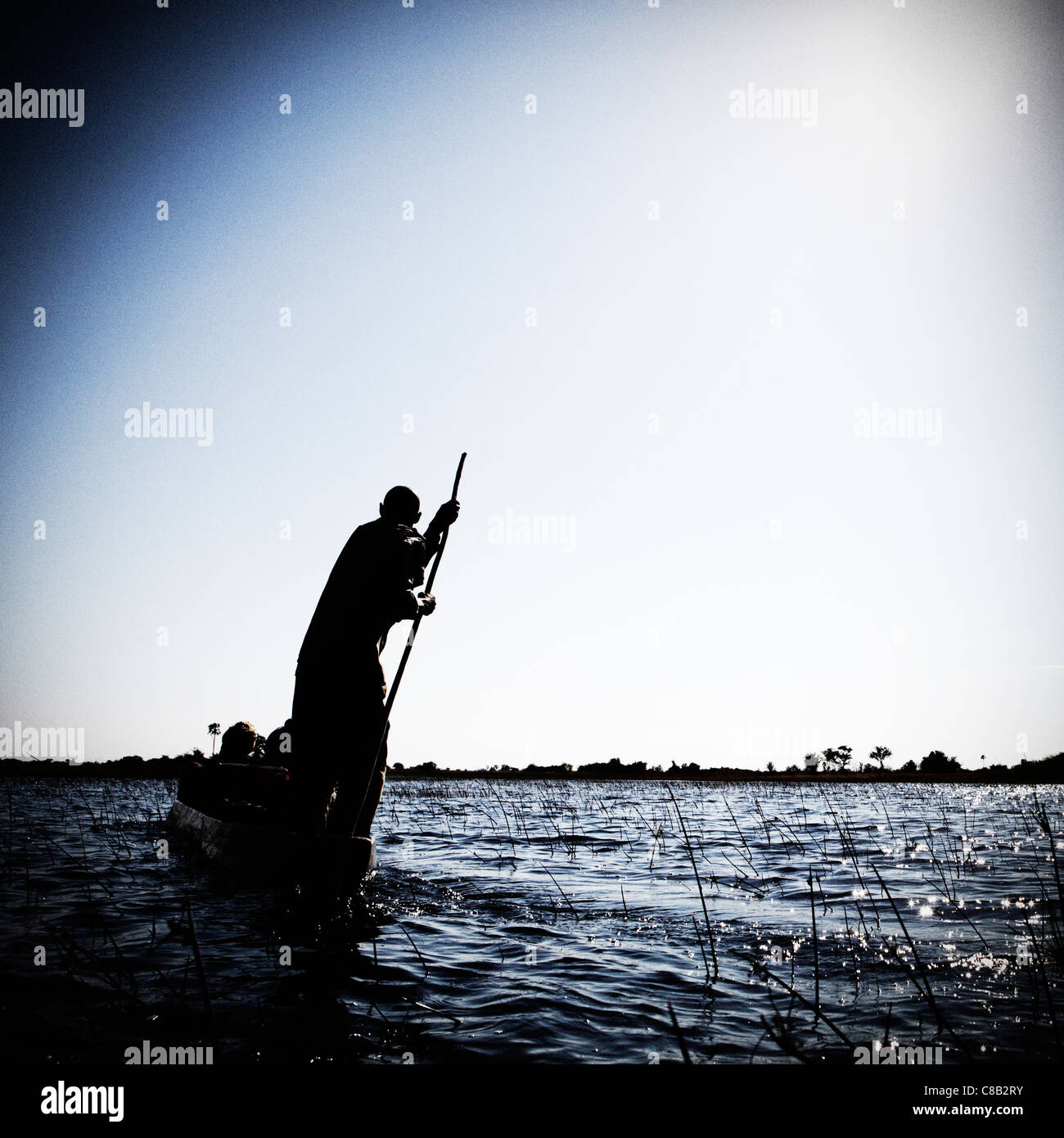 Makoro poler on the Okavango Delta, Botswana Stock Photo - Alamy