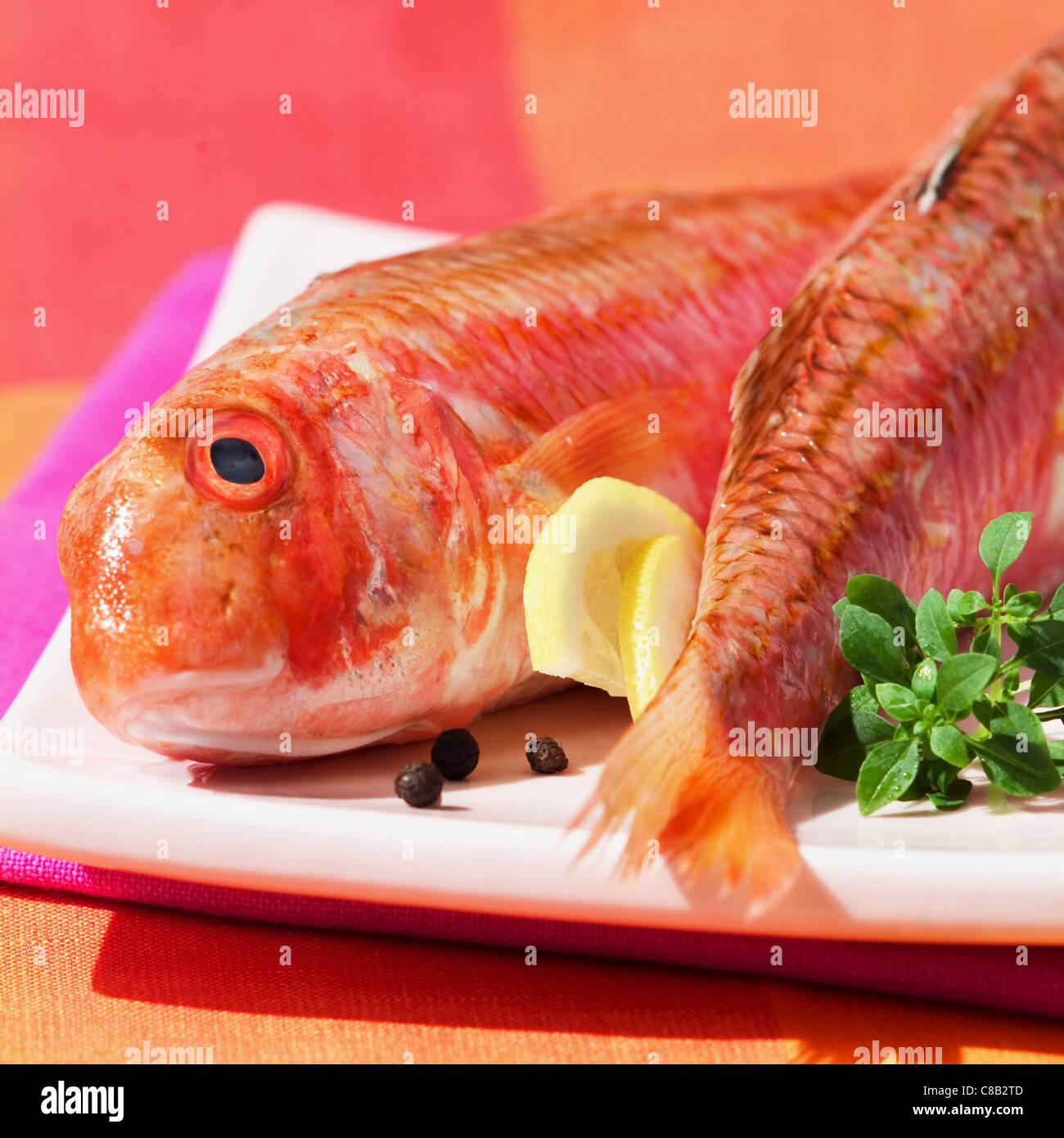 Goatfish Stock Photo - Alamy