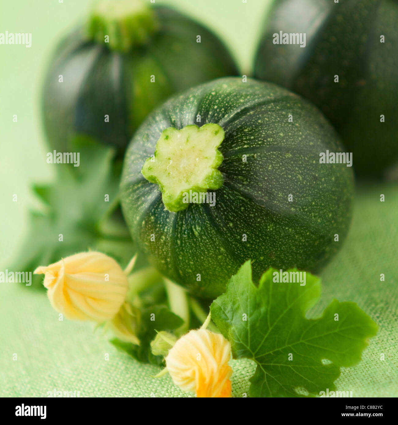 Round green courgettes Stock Photo - Alamy