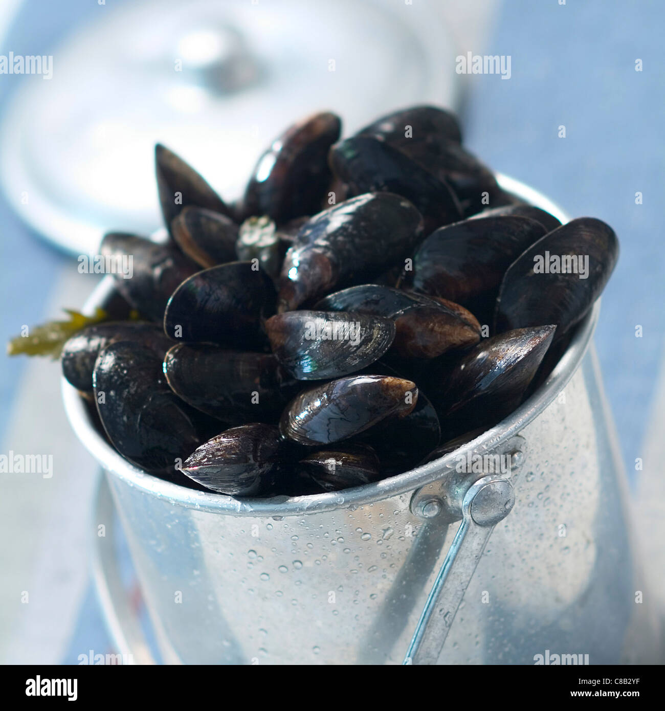 Mussels in bucket Stock Photo - Alamy