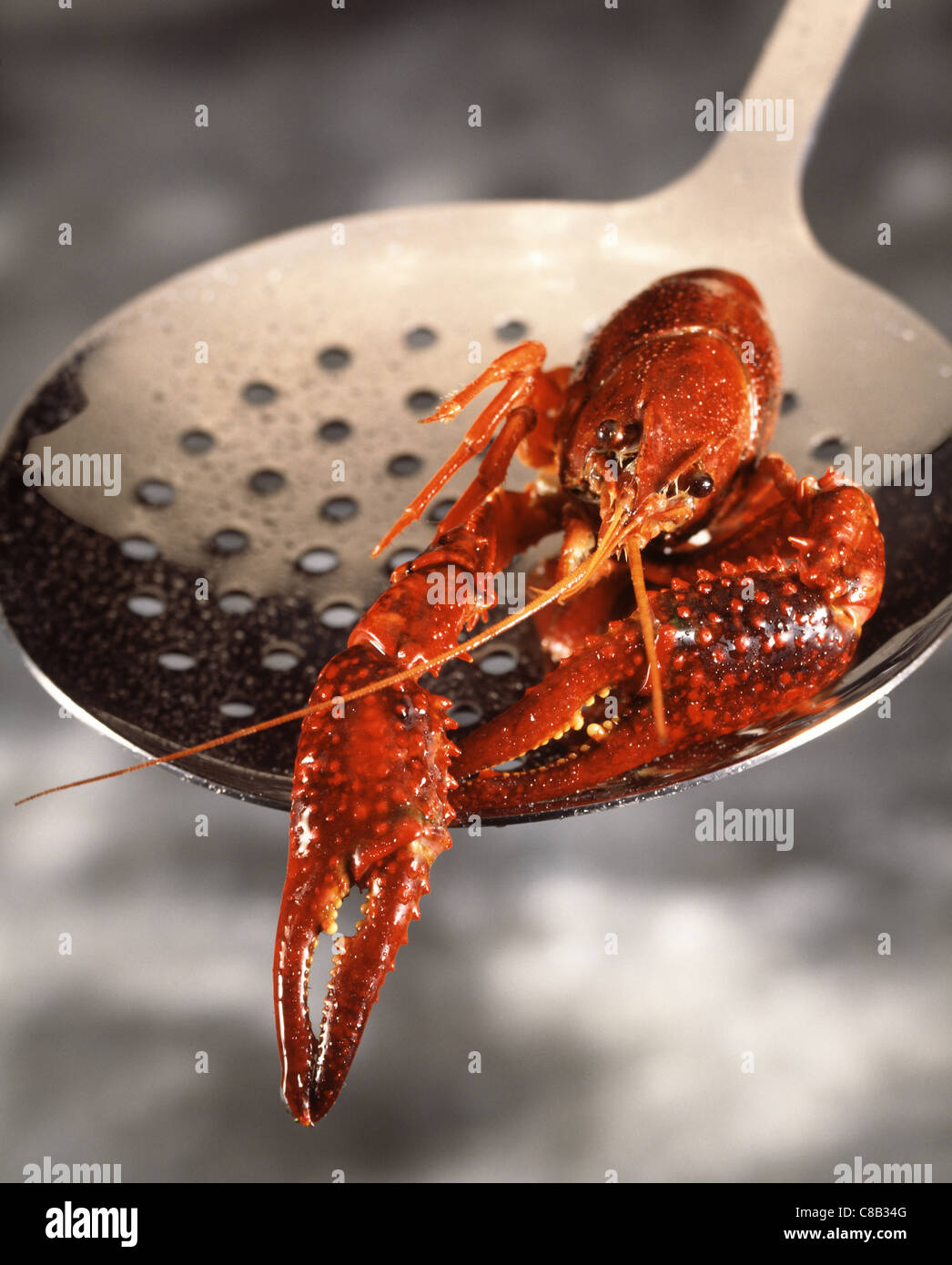 Crawfish on skillet Stock Photo - Alamy