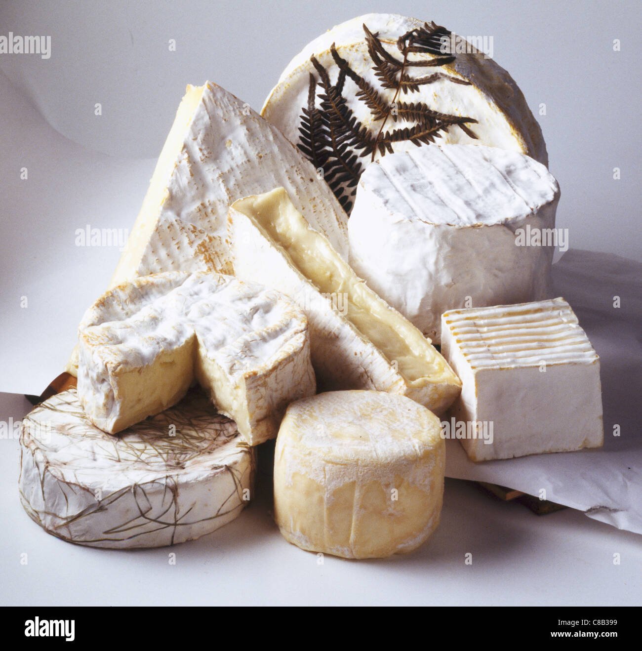 Selection of cheeses Stock Photo - Alamy