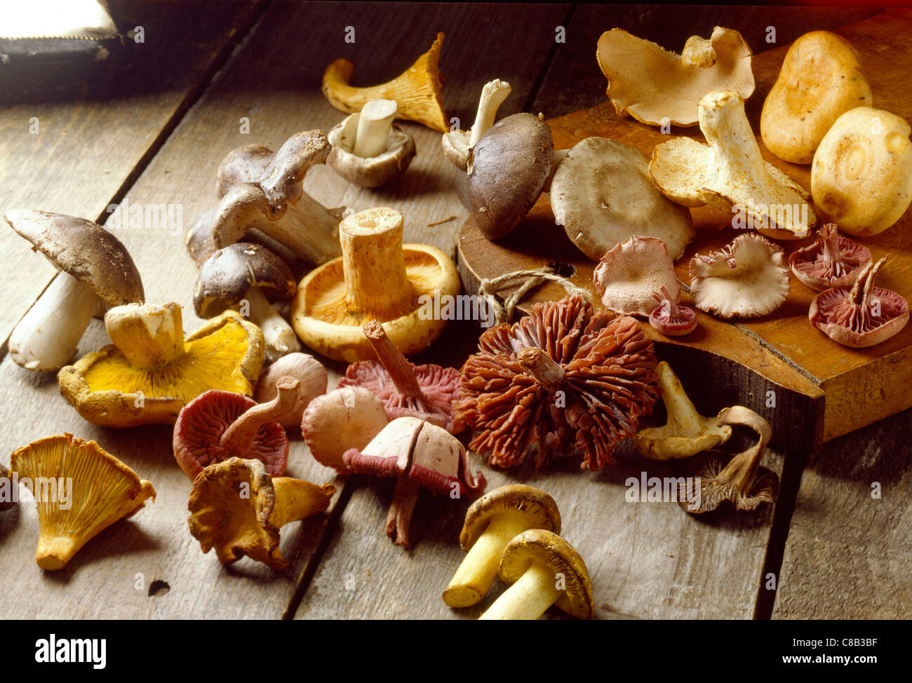 selection of mushrooms Stock Photo - Alamy