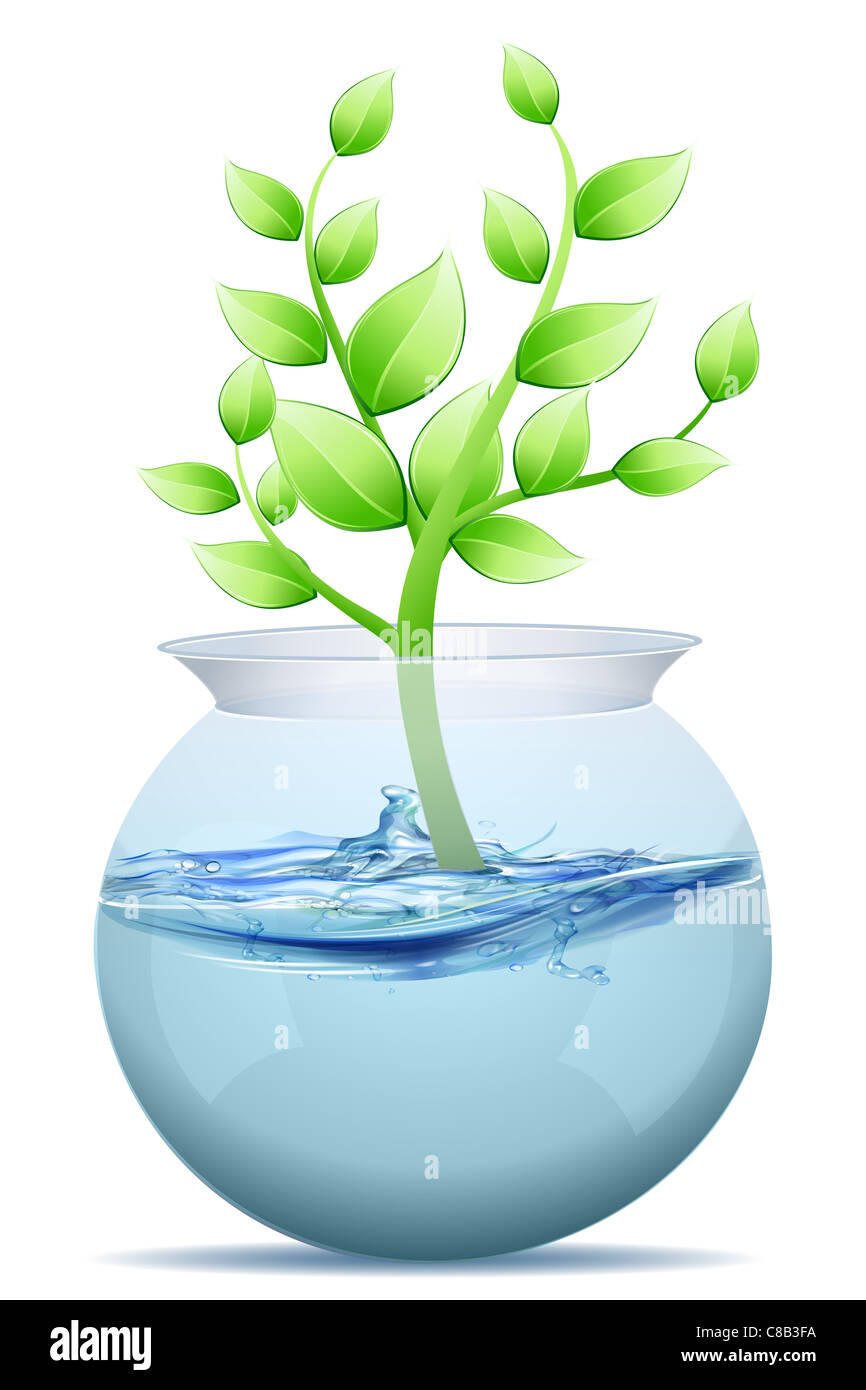 illustration of tree in water tank on isolated background Stock Photo ...