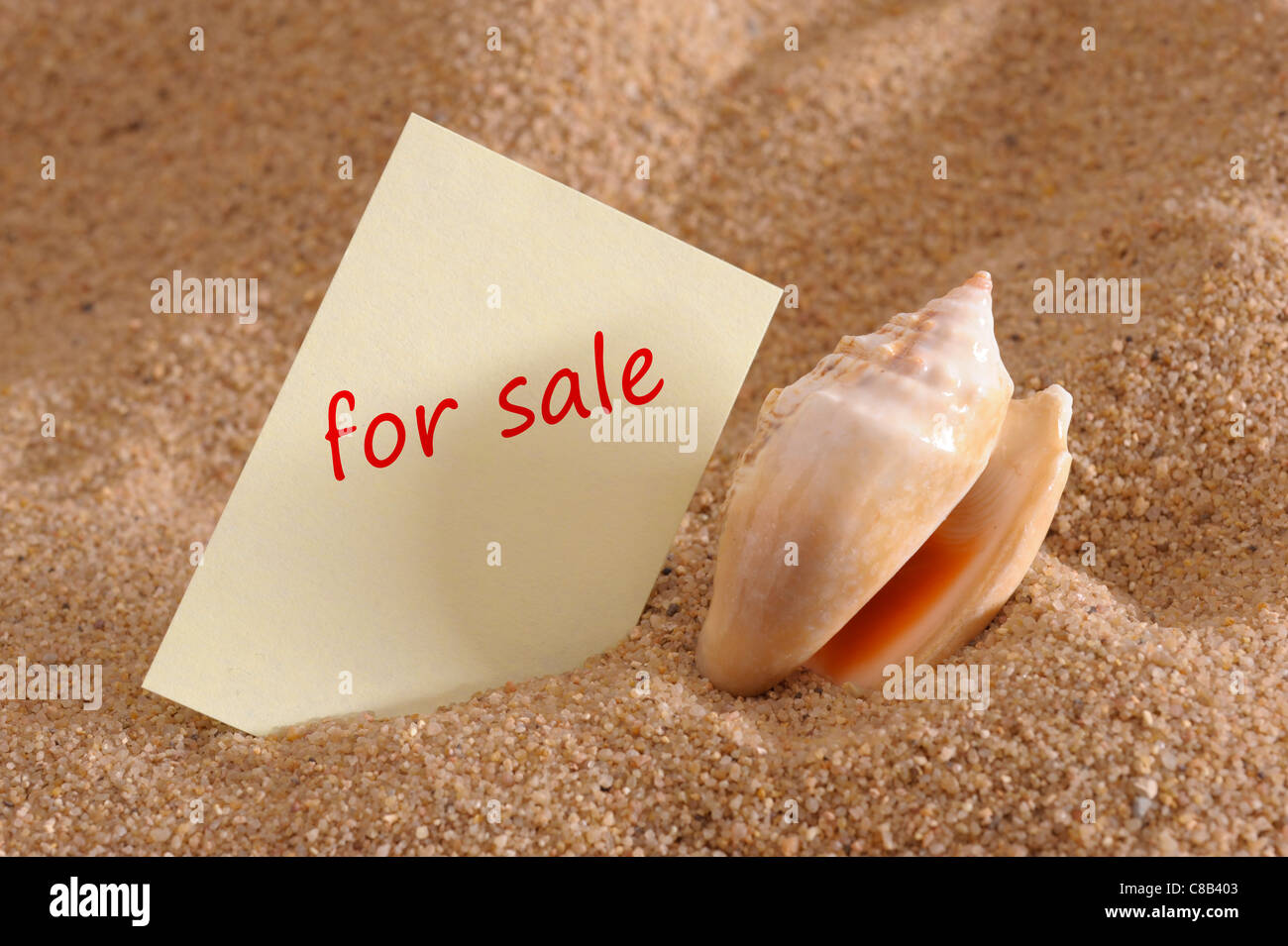 mussel shell house for sale Stock Photo - Alamy