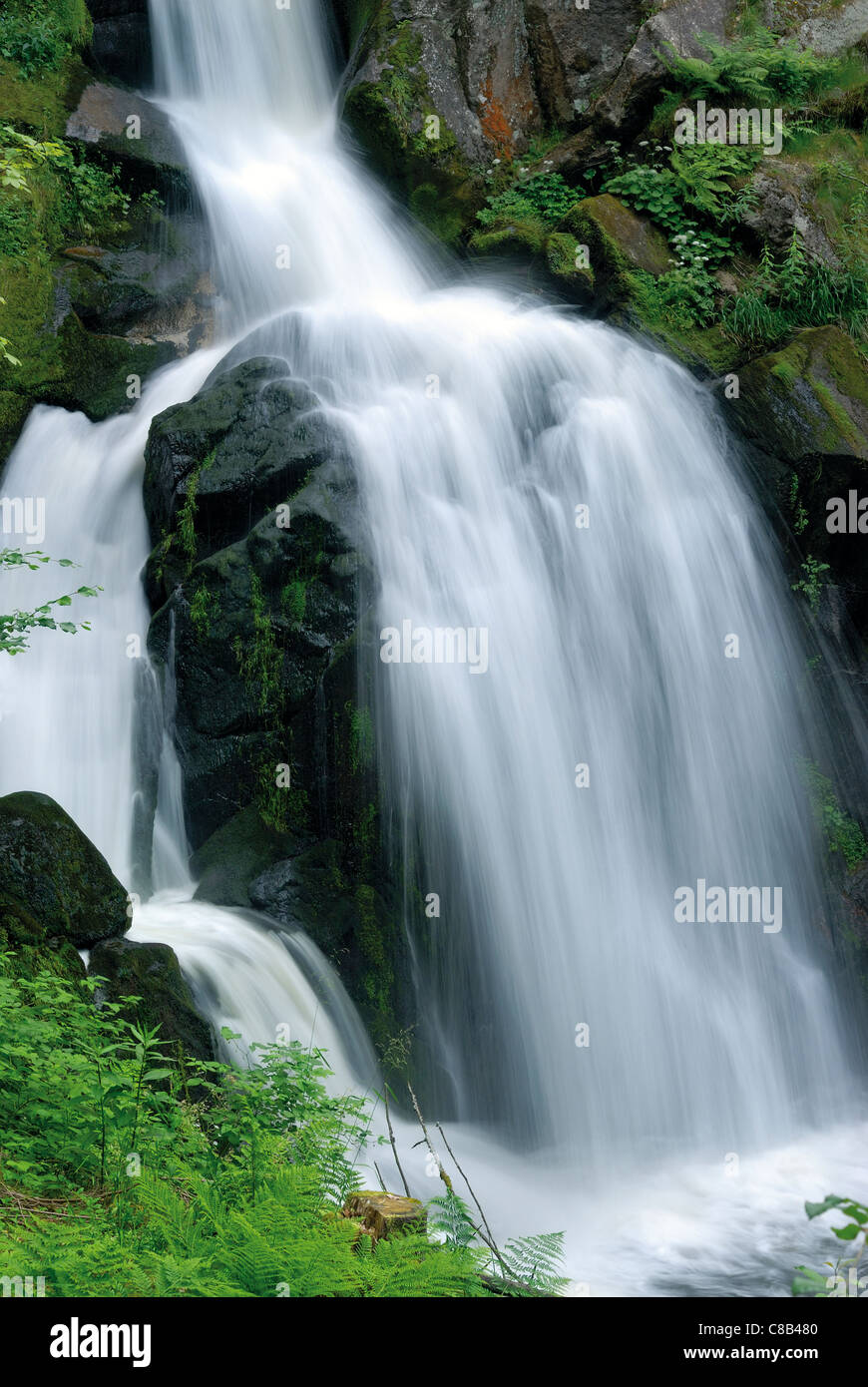 Germany, Black Forest: Waterfalls of Triberg Stock Photo - Alamy