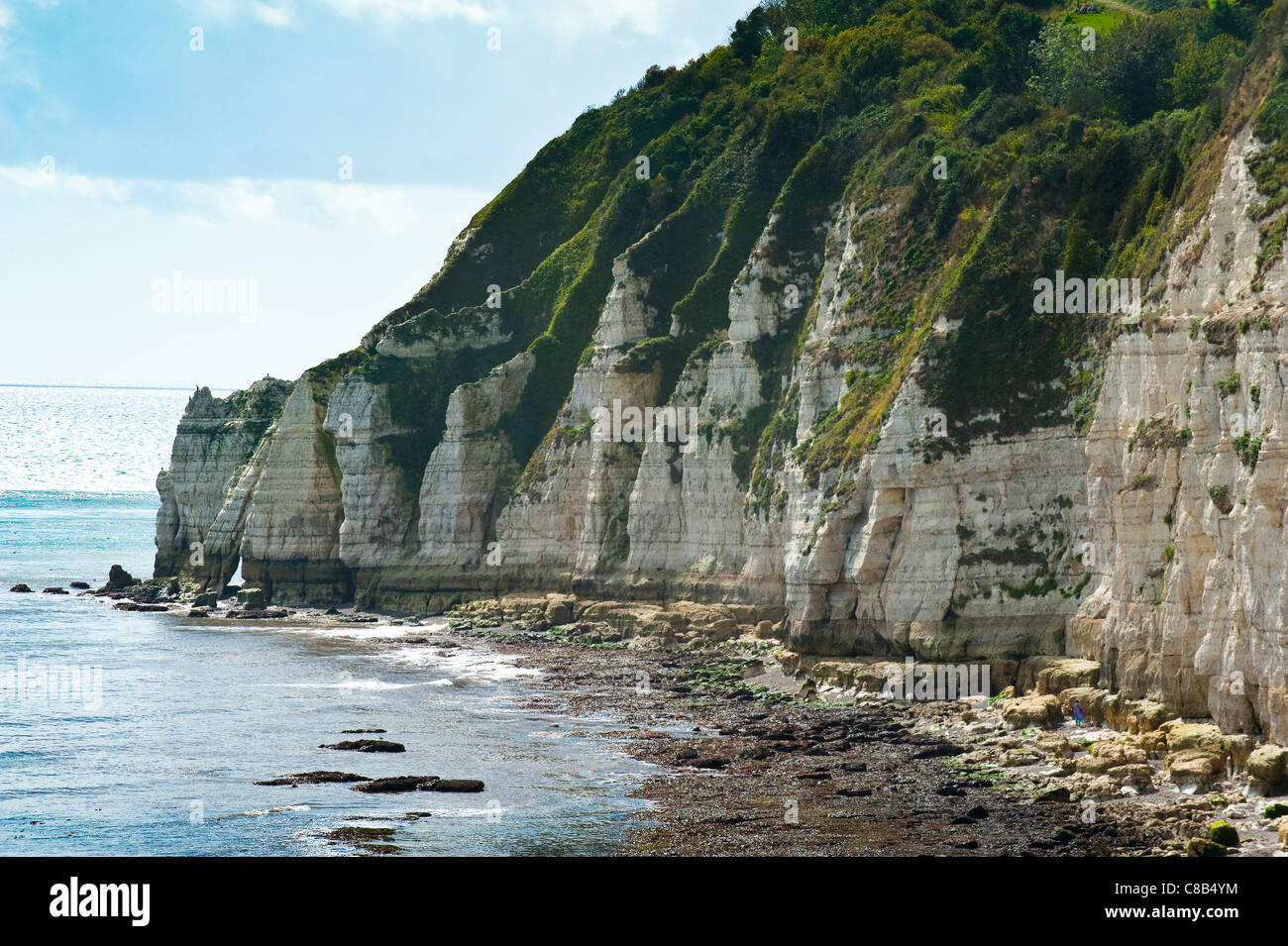 White cliffs on Jurassic coast at Beer Devon England Stock Photo - Alamy