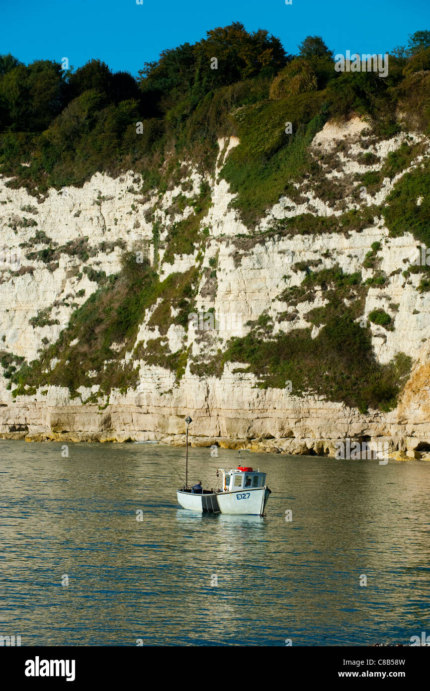 Boat on fishing trip at Beer Devon England Stock Photo - Alamy
