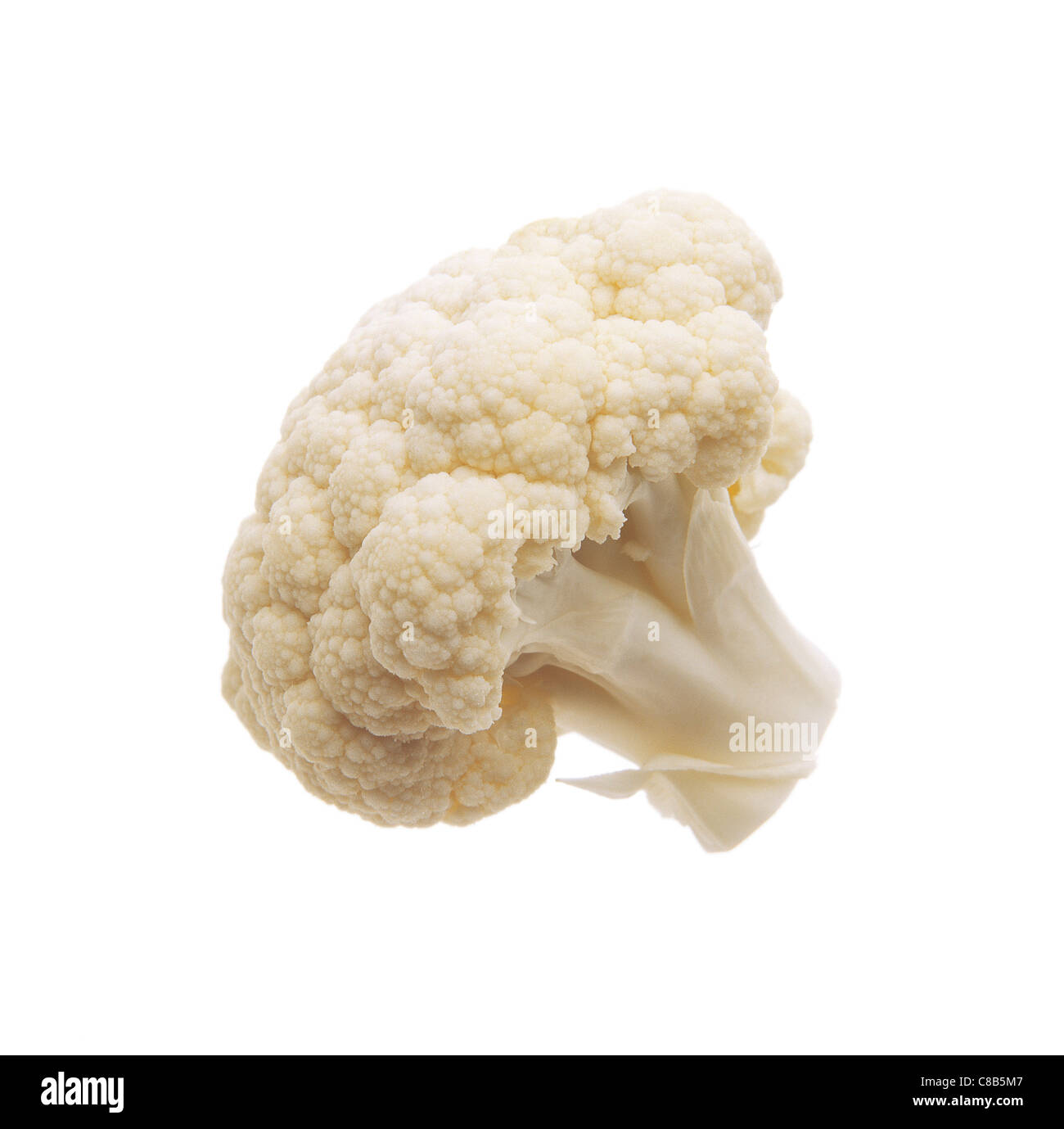 Floret Cut Out Stock Images & Pictures - Alamy