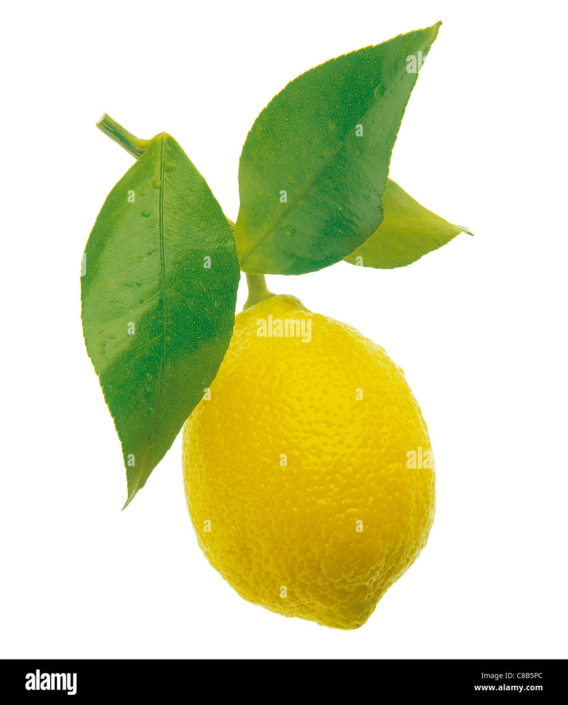 Lemon with leaves Stock Photo - Alamy